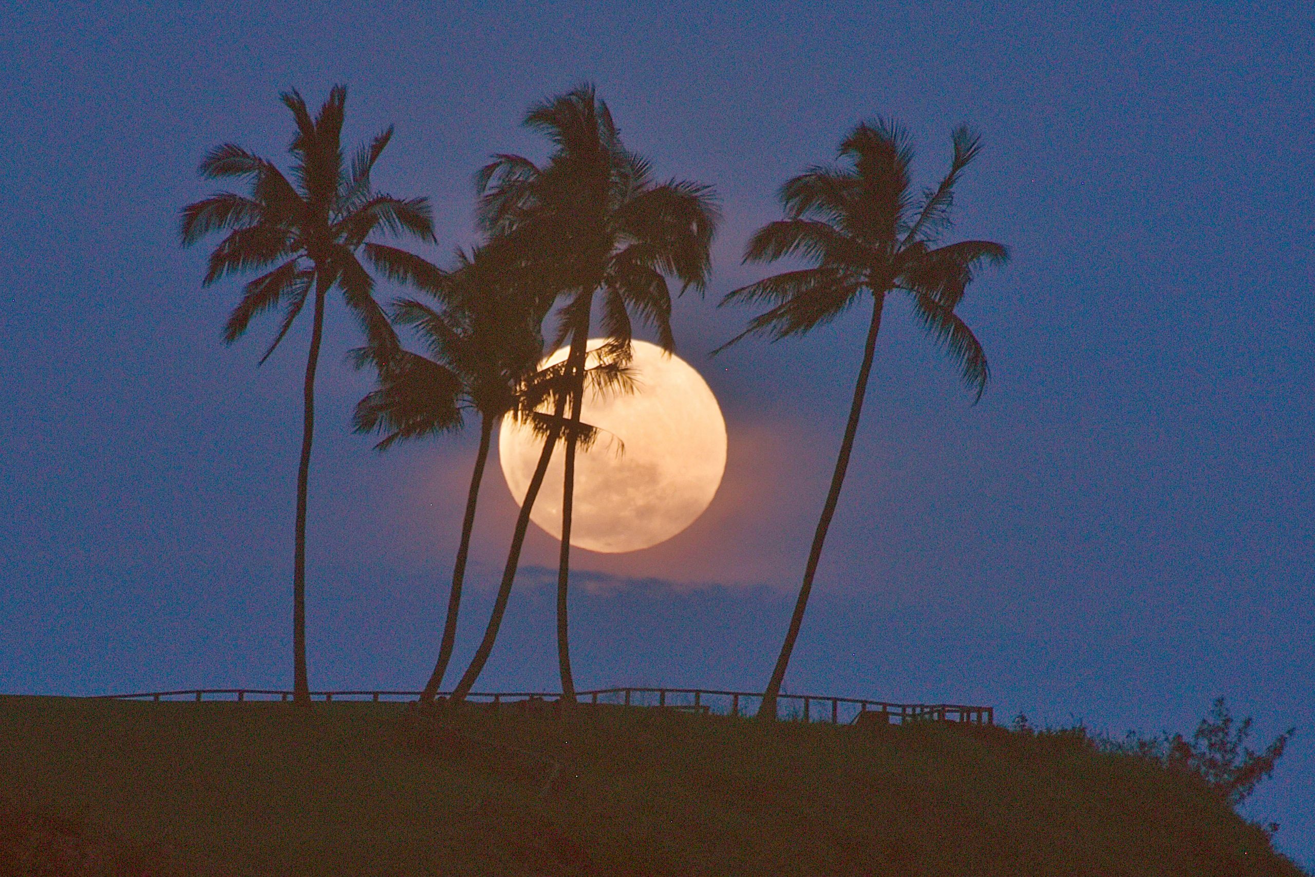 Super Moon Rising | Photo of the Day | Noozhawk