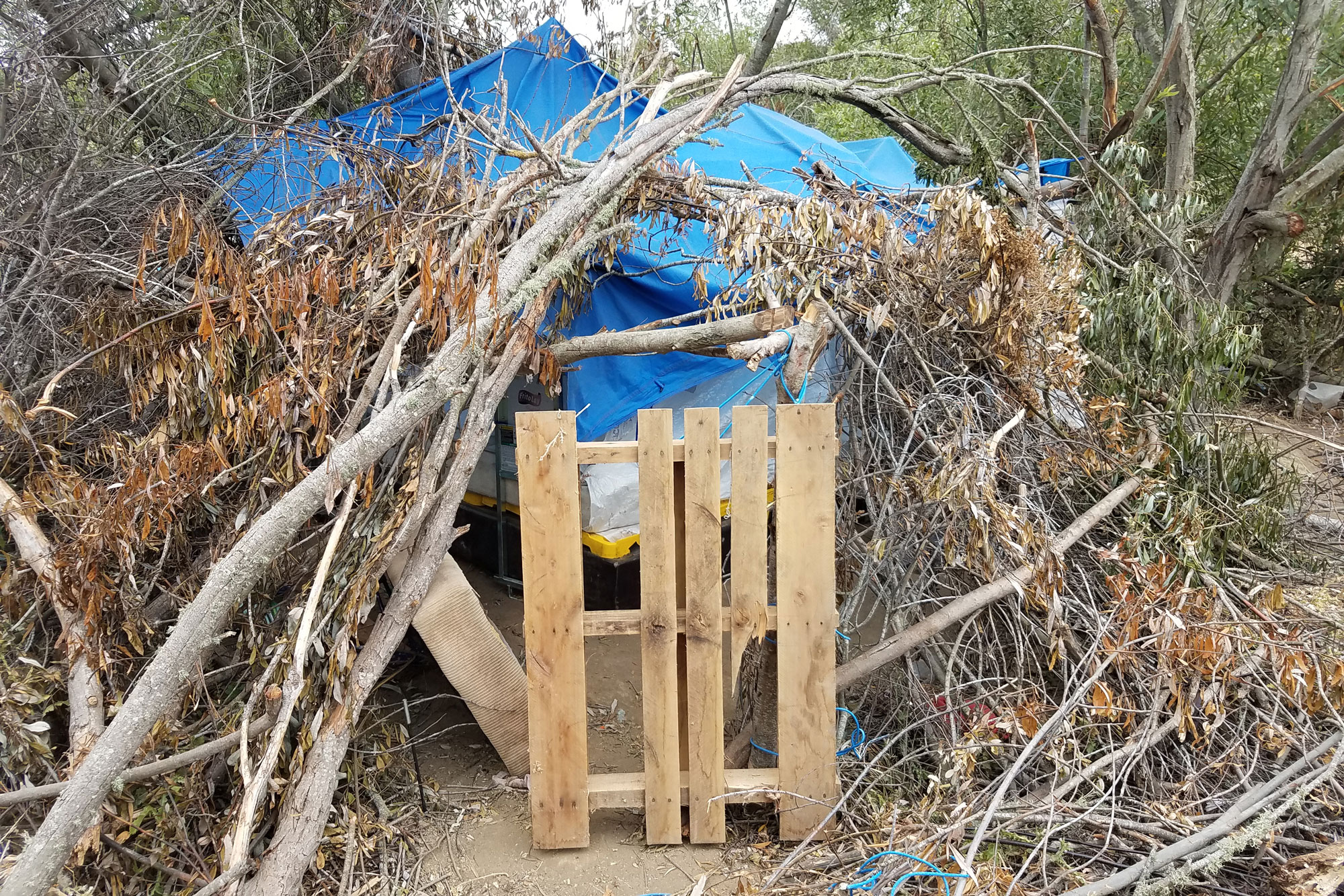 Countywide Homelessness Plan Draws Mixed Reaction from Lompoc, Santa ...