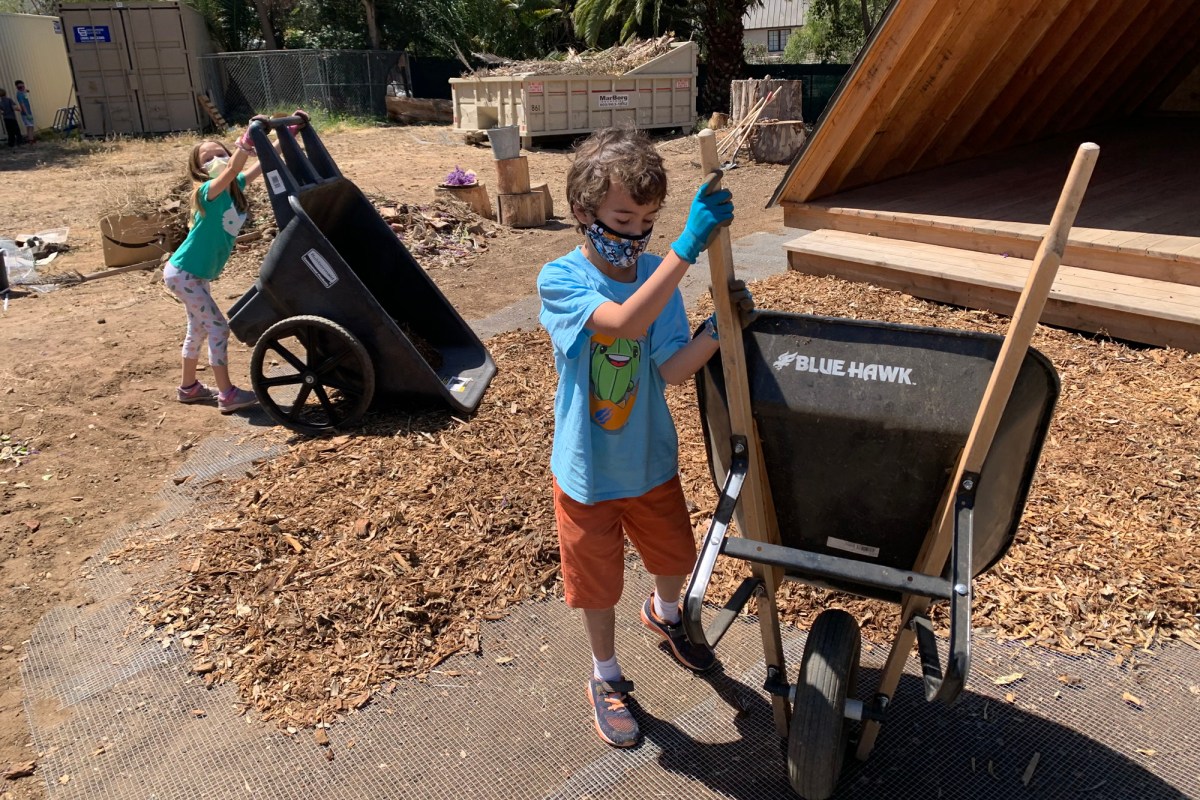 Montecito Union School Lets Students Fly with Monarch Butterfly ...