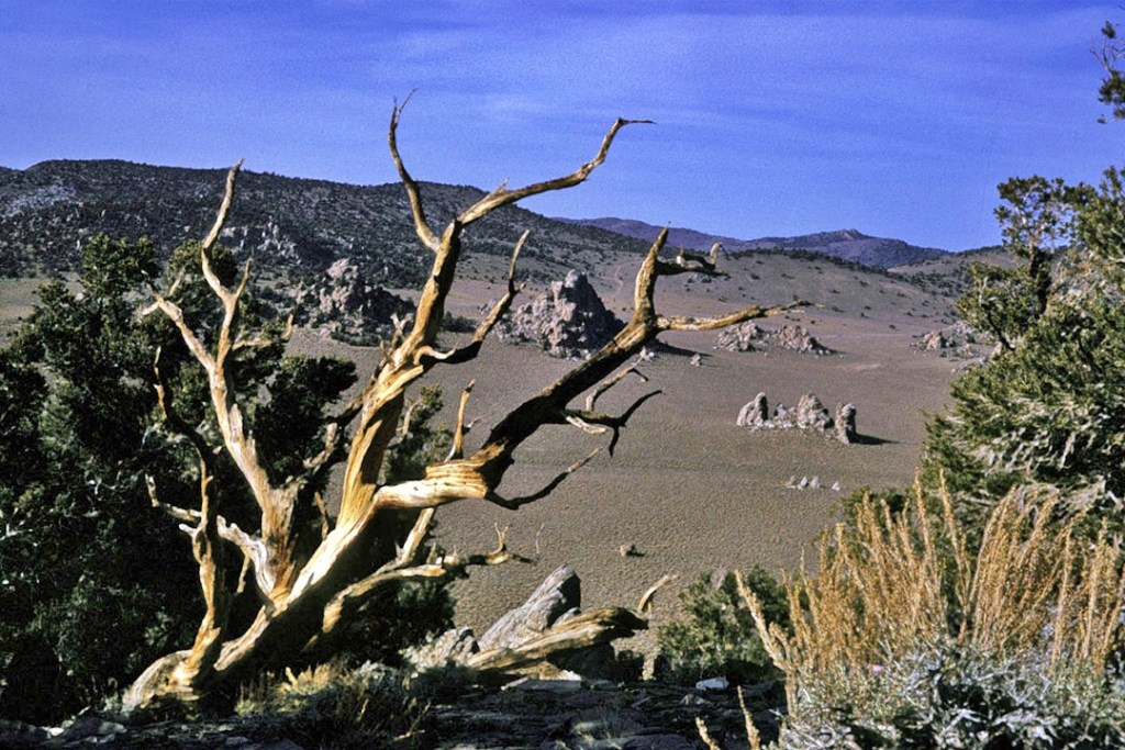 Papoose Flat | Photo of the Day | Noozhawk