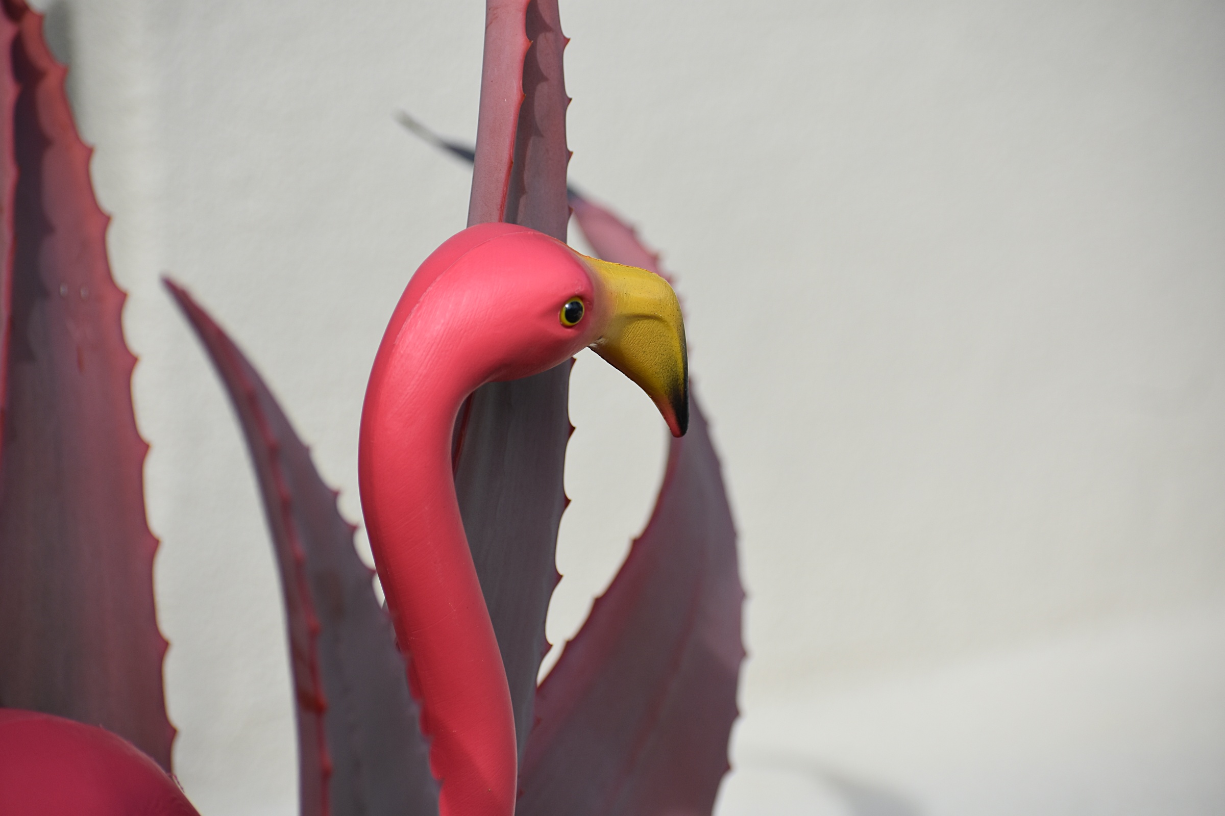 Flamingo Sighting | Photo of the Day | Noozhawk