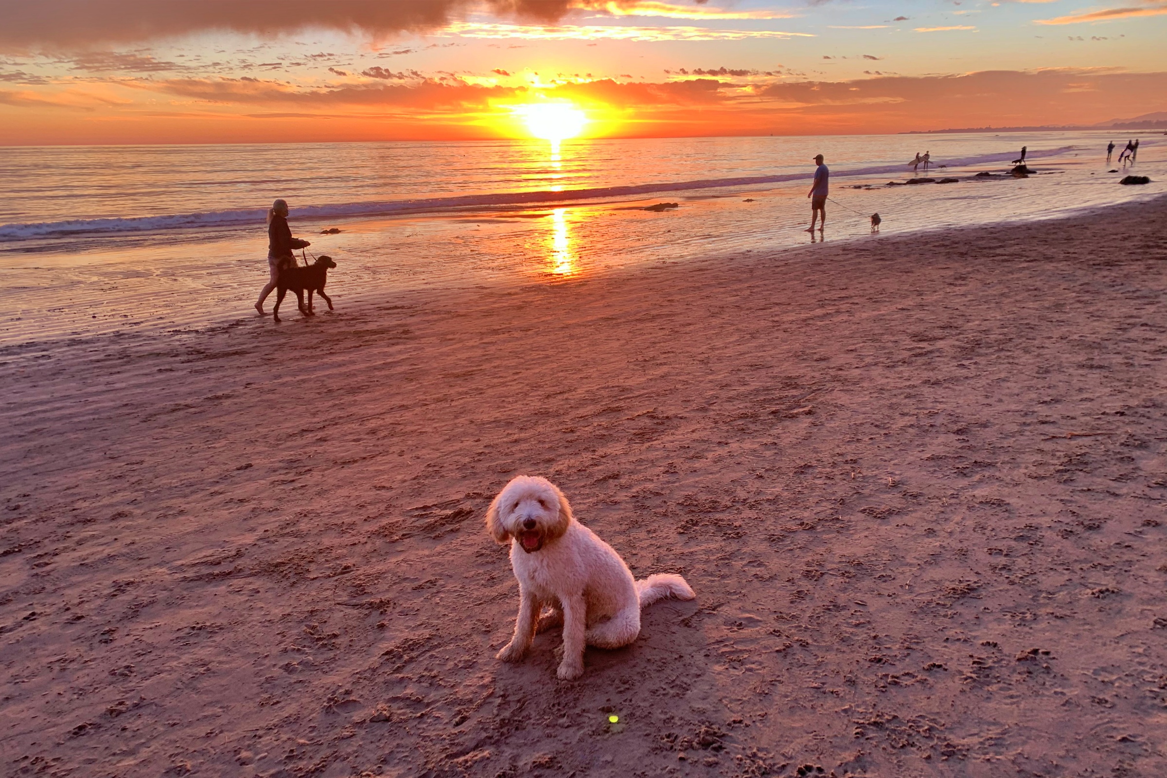 Jared Katz, Author at Noozhawk