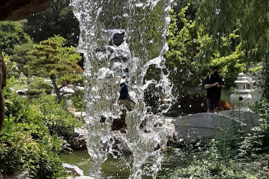 Watery Vision | Photo of the Day | Noozhawk