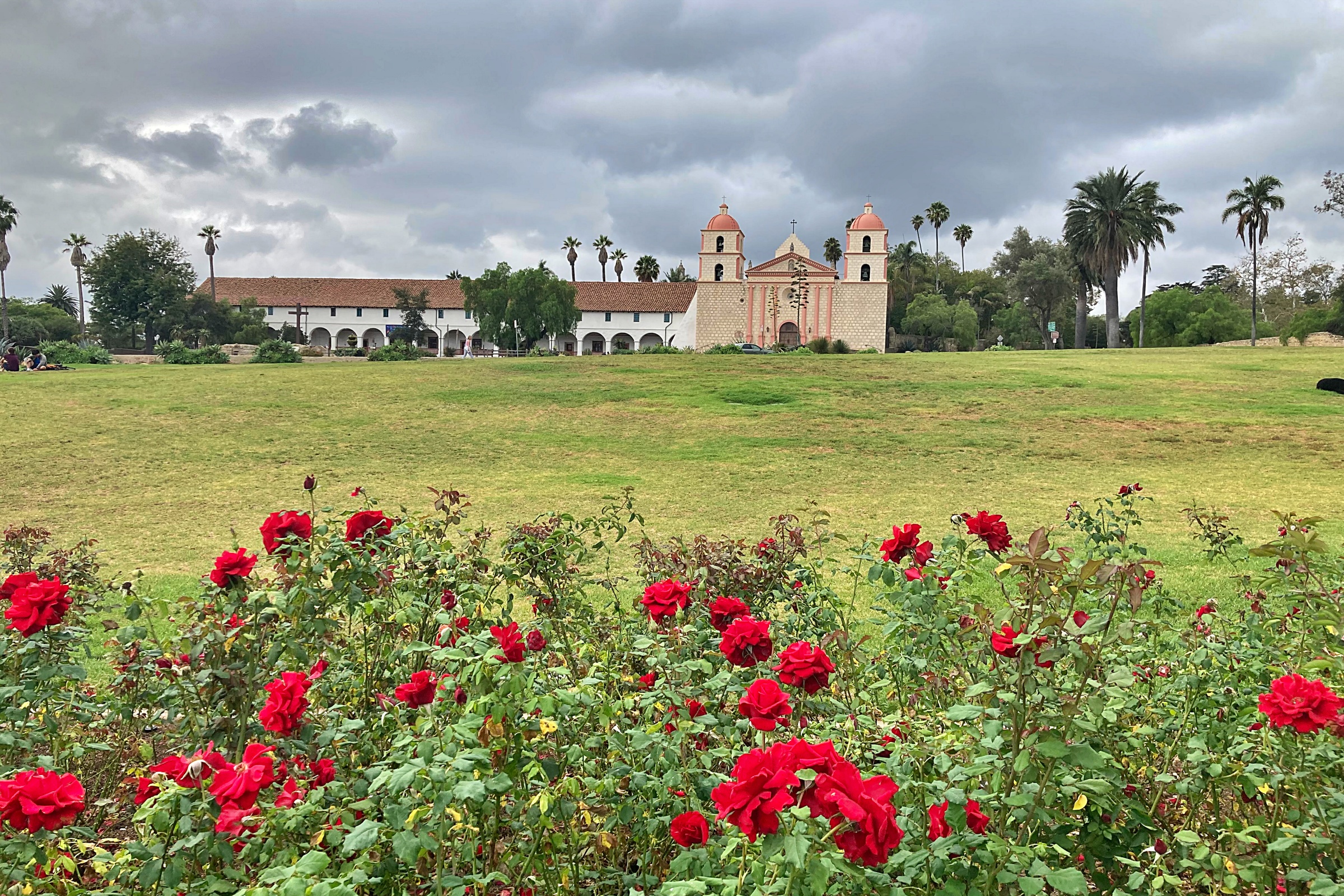 Mission Roses | Photo of the Day | Noozhawk