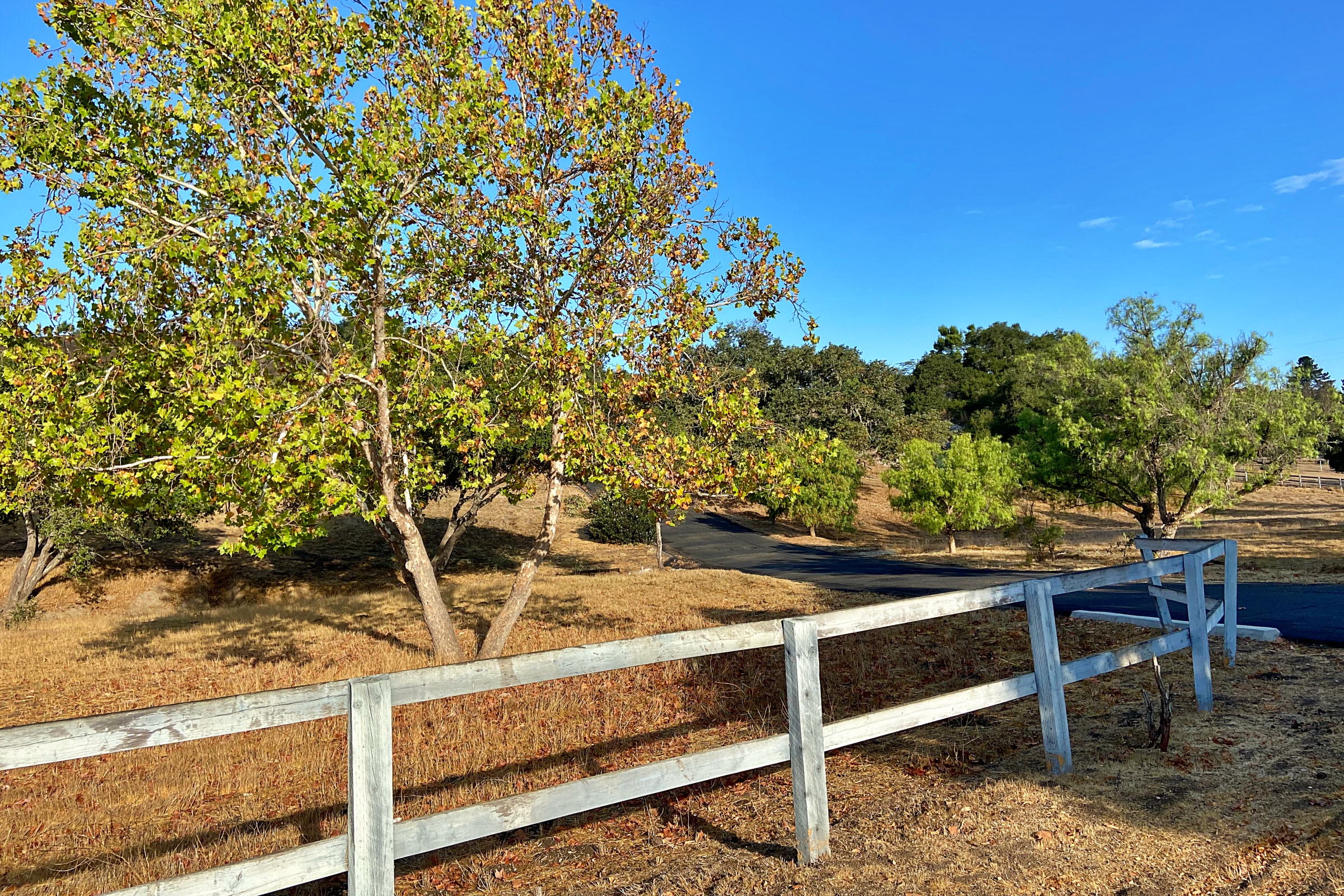 Fall Day in Solvang | Photo of the Day | Noozhawk