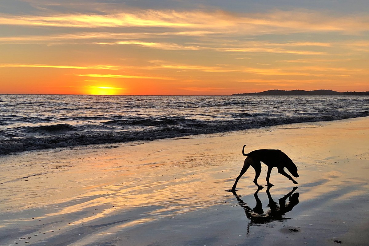 Loon Point Sunset | Photo of the Day | Noozhawk
