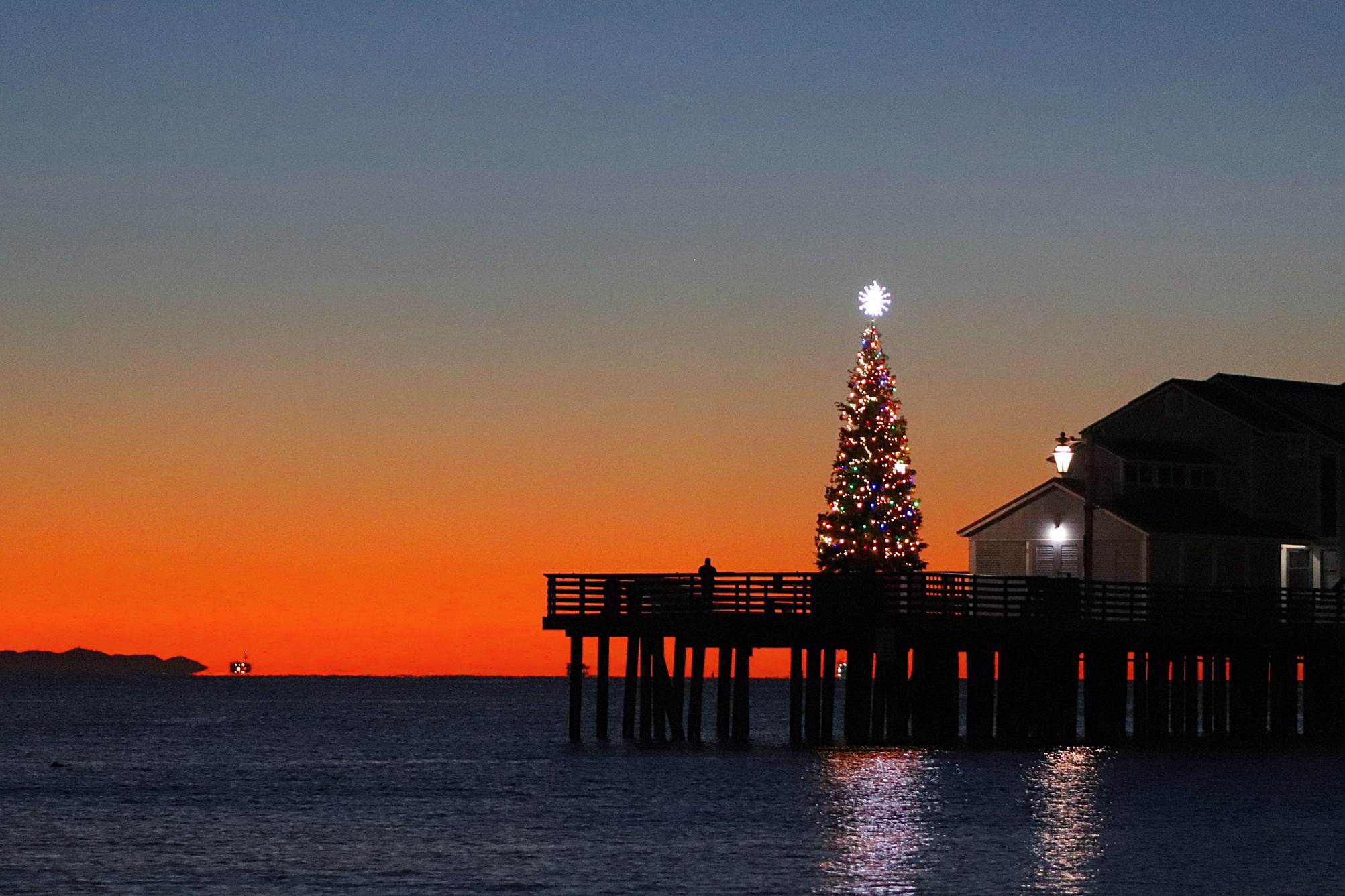 Christmas Tree Sunset | Photo of the Day | Noozhawk