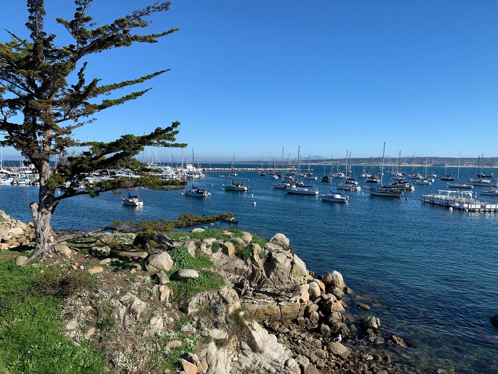 Monterey Harbor | Photo of the Day | Noozhawk
