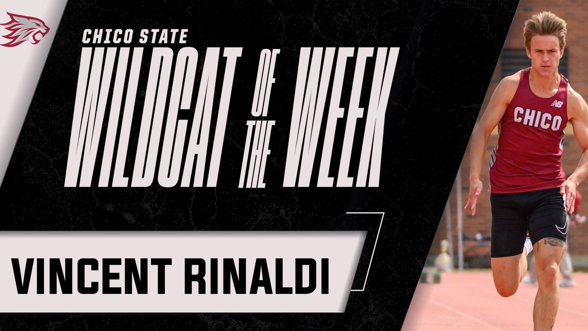Carpinteria Alum Vincent Rinaldi Makes Quick Impact in Chico State ...
