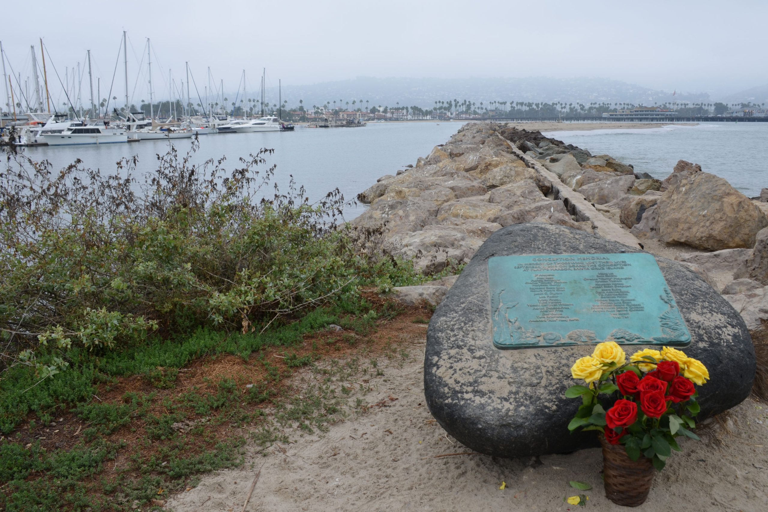 U.S. House Passes Bill That Would Change Liability for Passenger ...