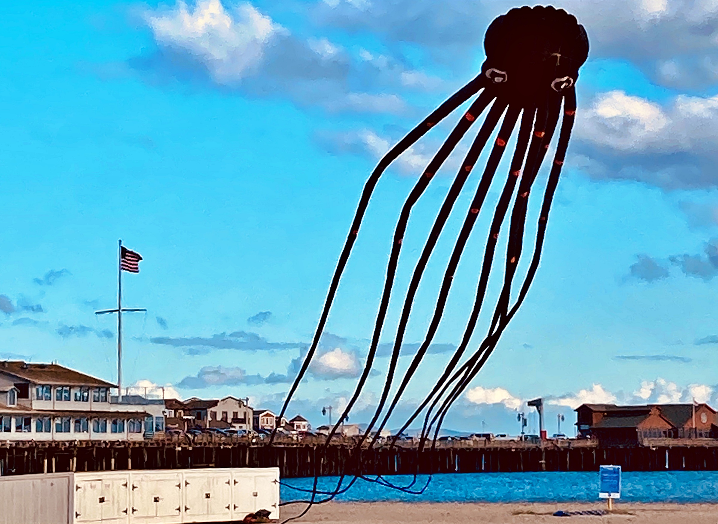 Flying Octopus | Photo of the Day | Noozhawk