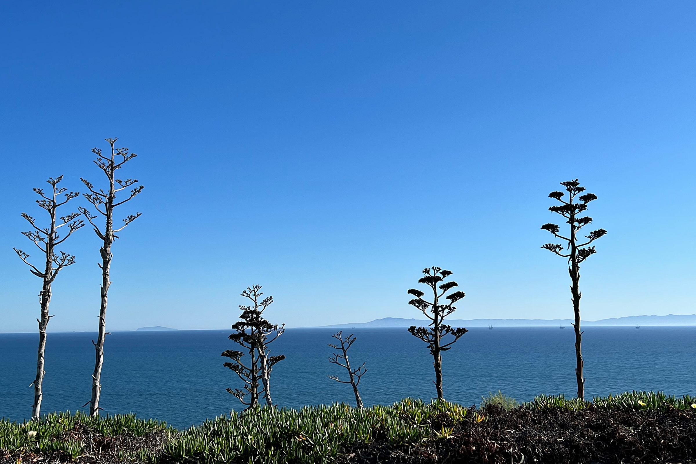 Santa Barbara Channel Views | Photo of the Day | Noozhawk
