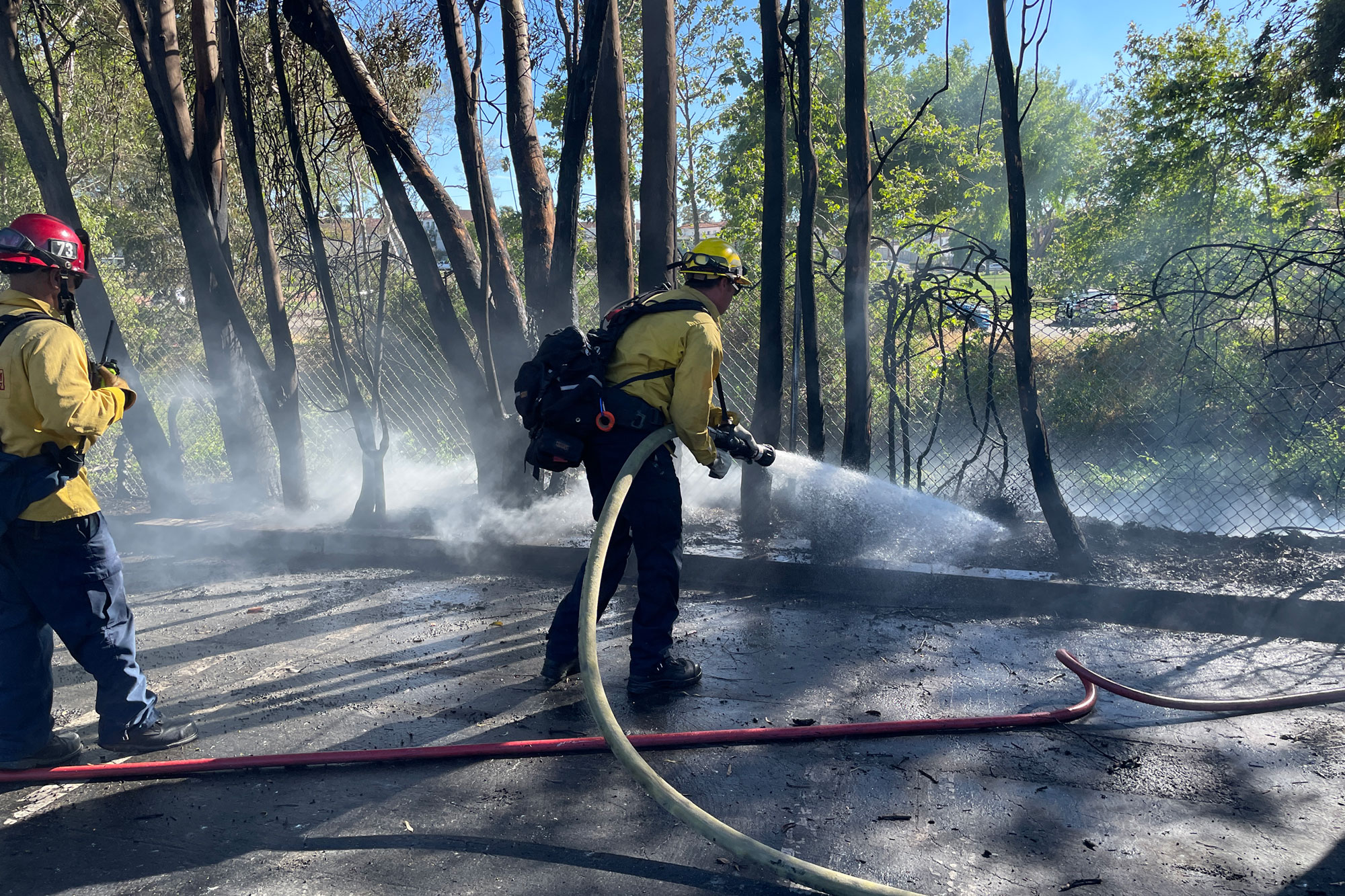 Firefighters Battle 2 Small Vegetation Fires Near Santa Barbara Zoo ...