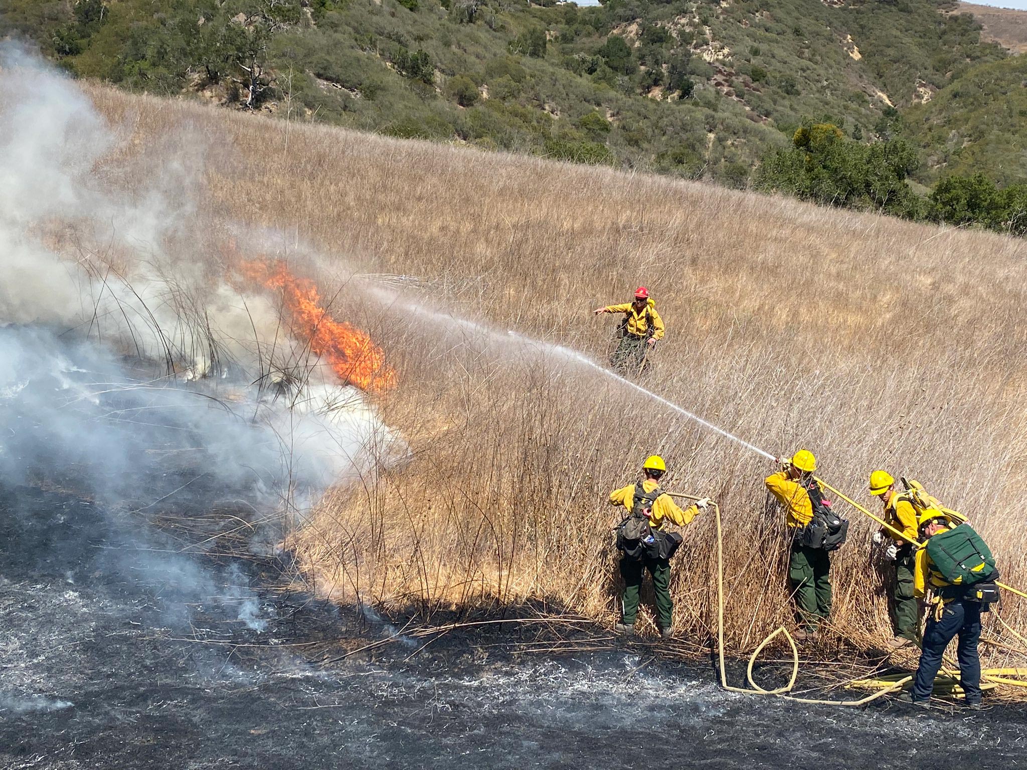 Firefighting Crews Reach 50% Containment on Vegetation Fire Burning ...