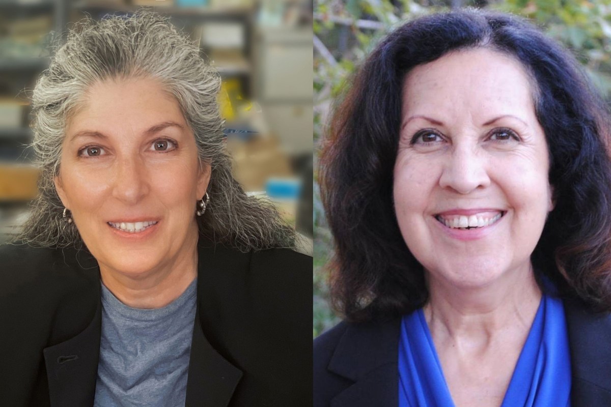 Rose Munoz Faces Challenge from Phebe Mansur for Seat on Santa Barbara ...