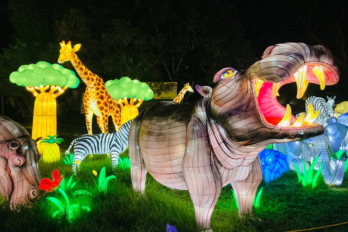 Zoo Lights | Photo of the Day | Noozhawk