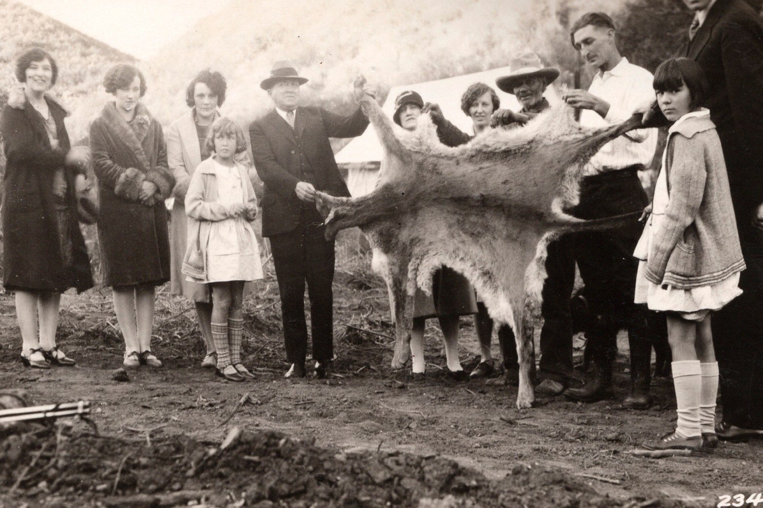 Dan McCaslin: Saga of Puma P-22 Highlights Tragedy of Big Mammals in ...