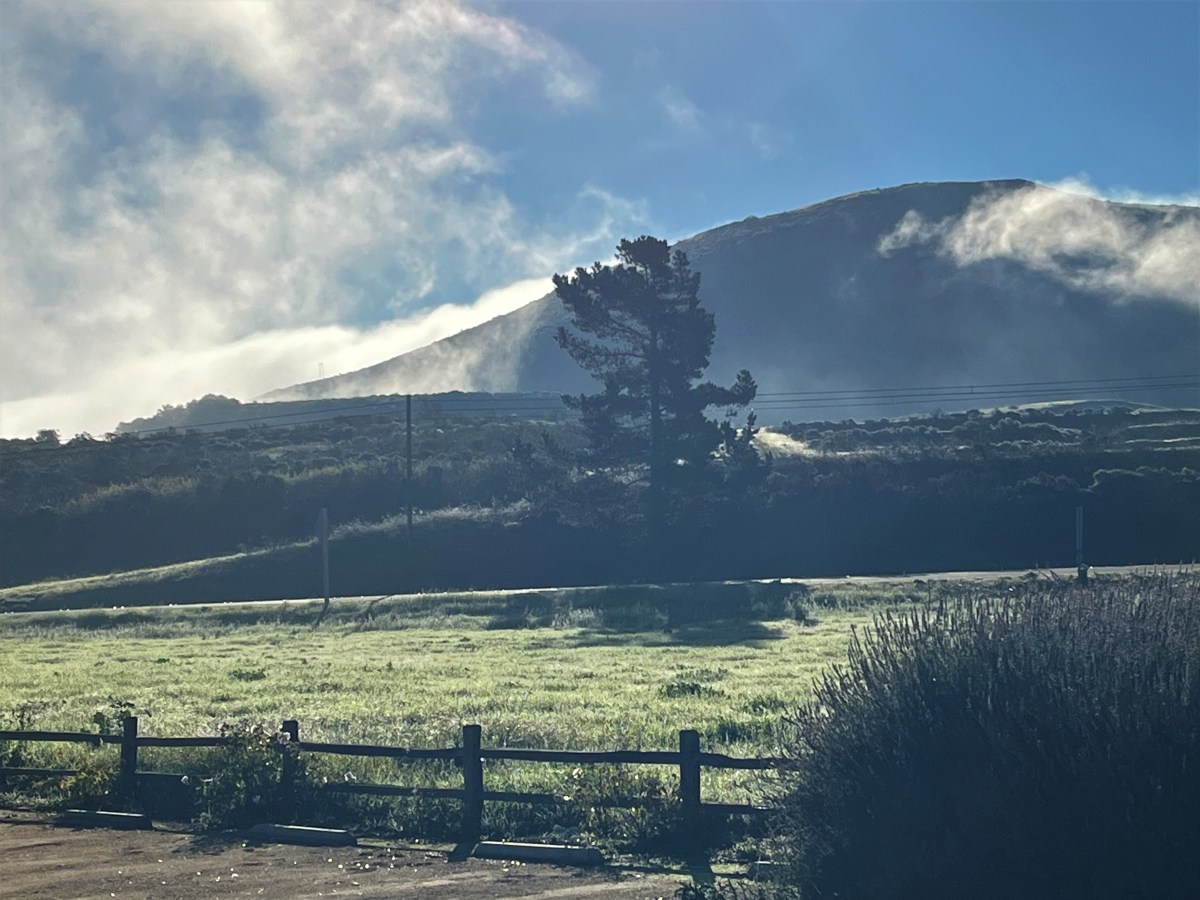 Morning Fog | Photo of the Day | Noozhawk