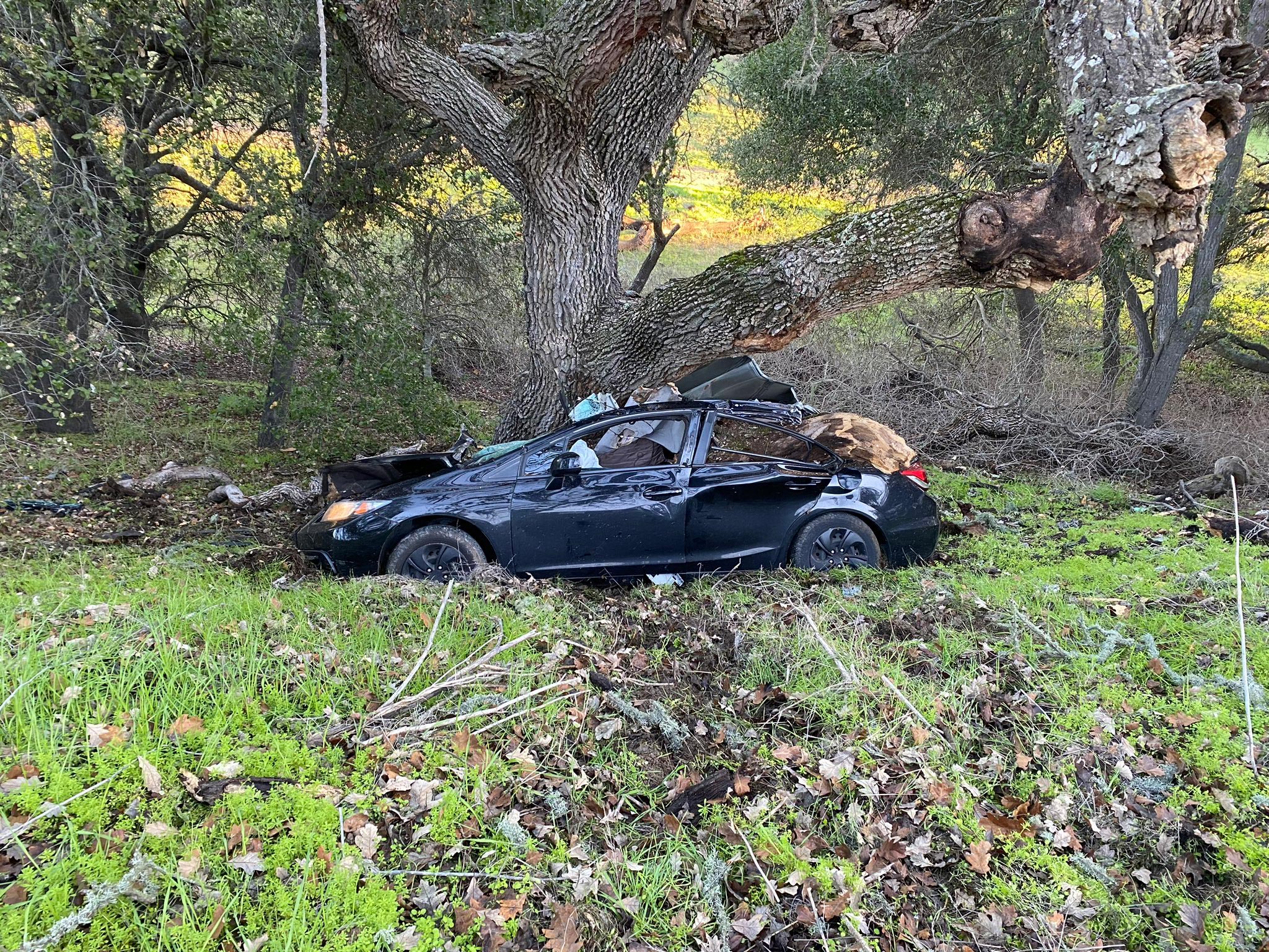 Driver Critically Injured in Crash Off Highway 101 Near Los Alamos ...