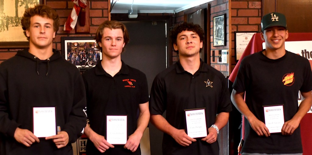 Bishop Diego's Qu'Ran Gossett, Pasefika Salatielu Lead Noozhawk's South ...