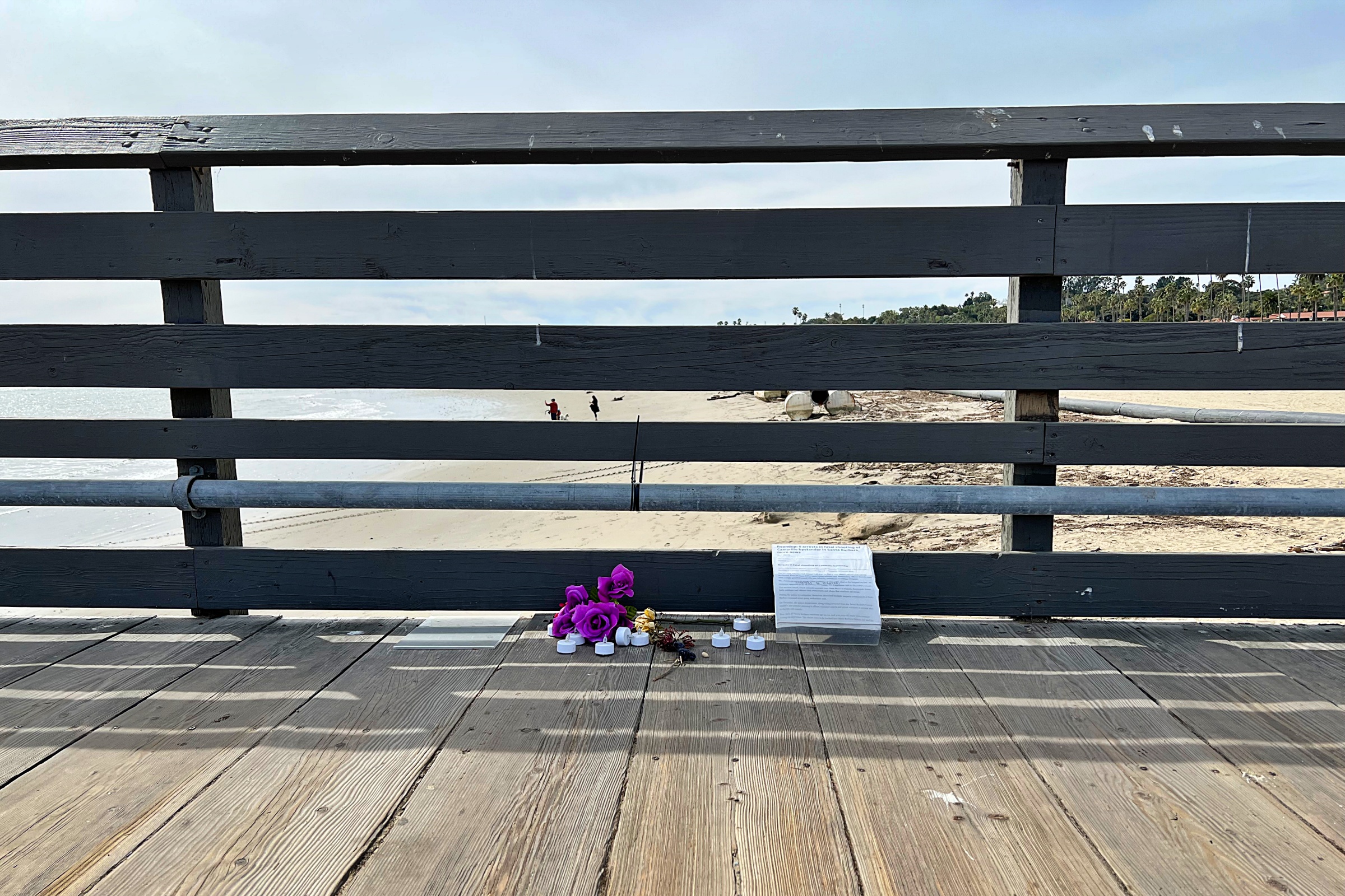 Bill Macfadyen: Santa Barbara Tourist Murder Story Grows into a Gang ...
