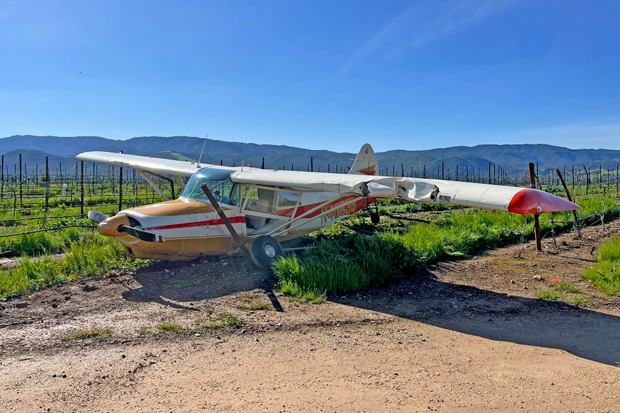 Small Plane Lands in Vineyard Near Santa Ynez Airport After Emergency ...