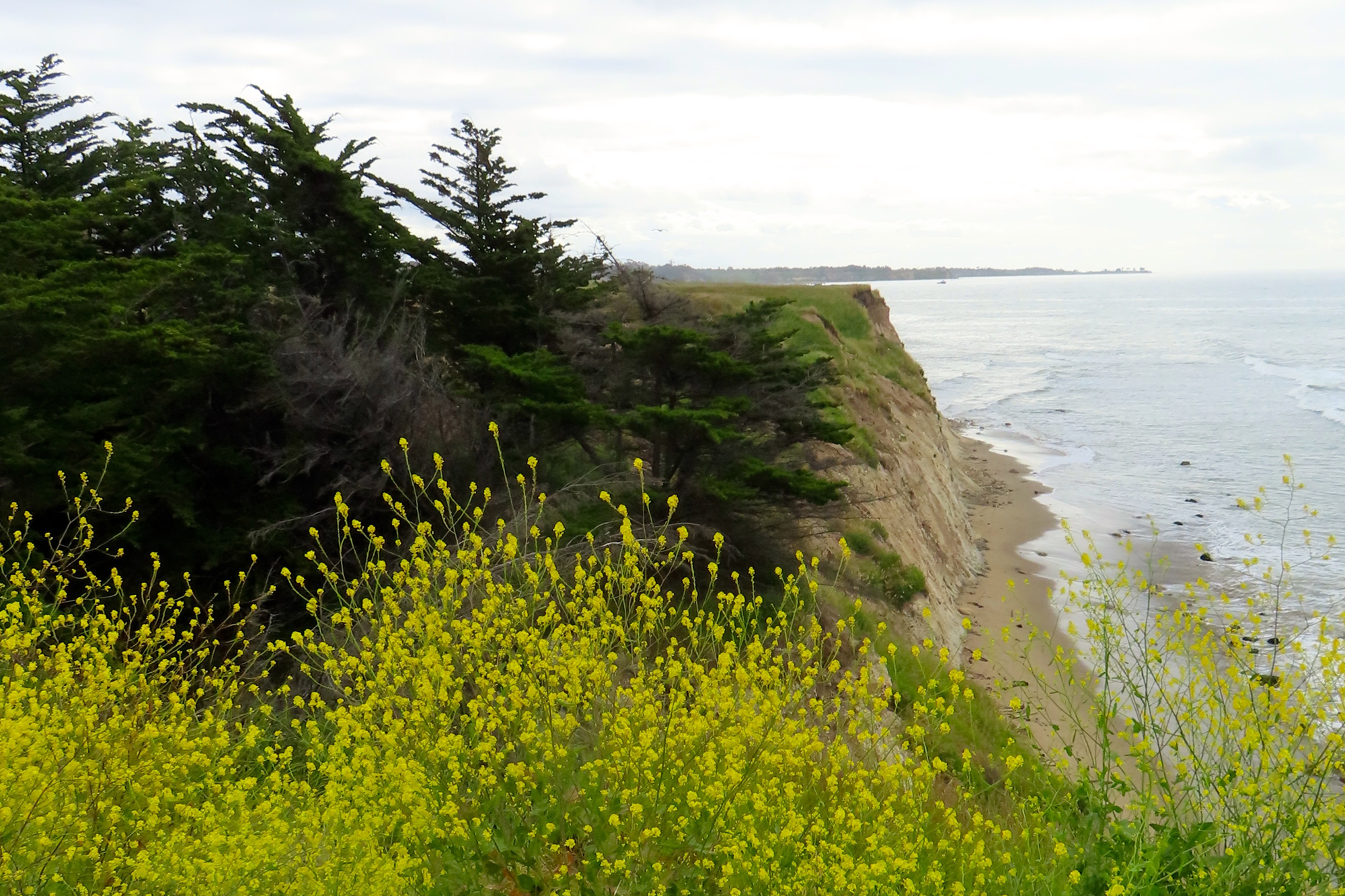 Dan McCaslin: An Easy Stroll to Naples Bluff West of Goleta | Outdoors ...