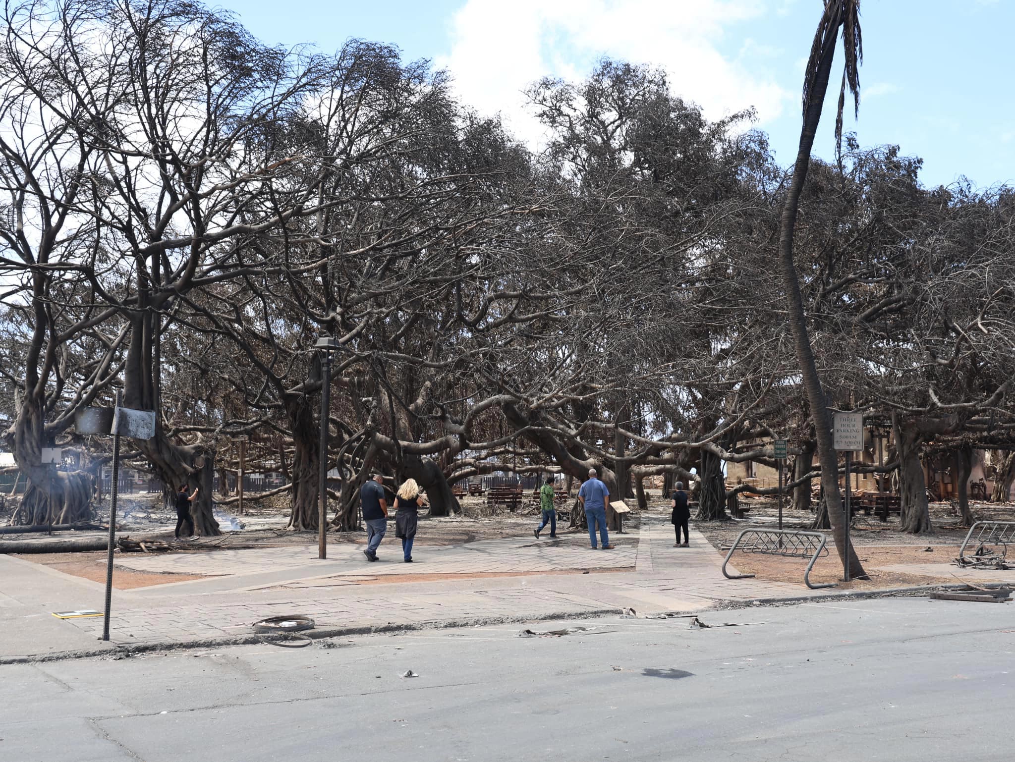 How People Can Help Maui Wildfire Victims | Local News | Noozhawk