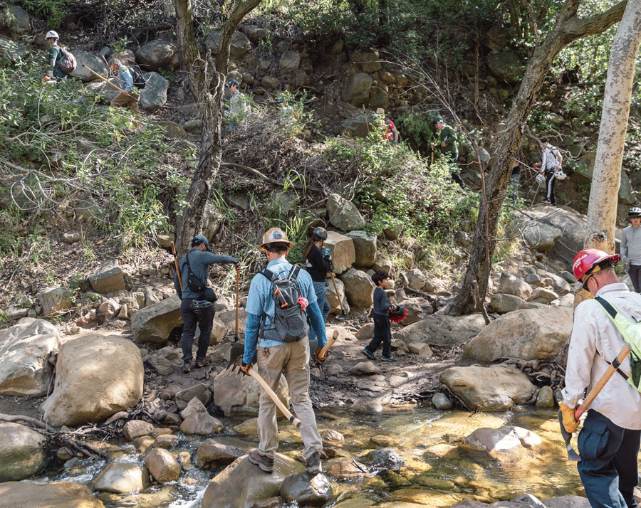 Parks Department Hopes Volunteers Will Dig Into Trail Restoration ...