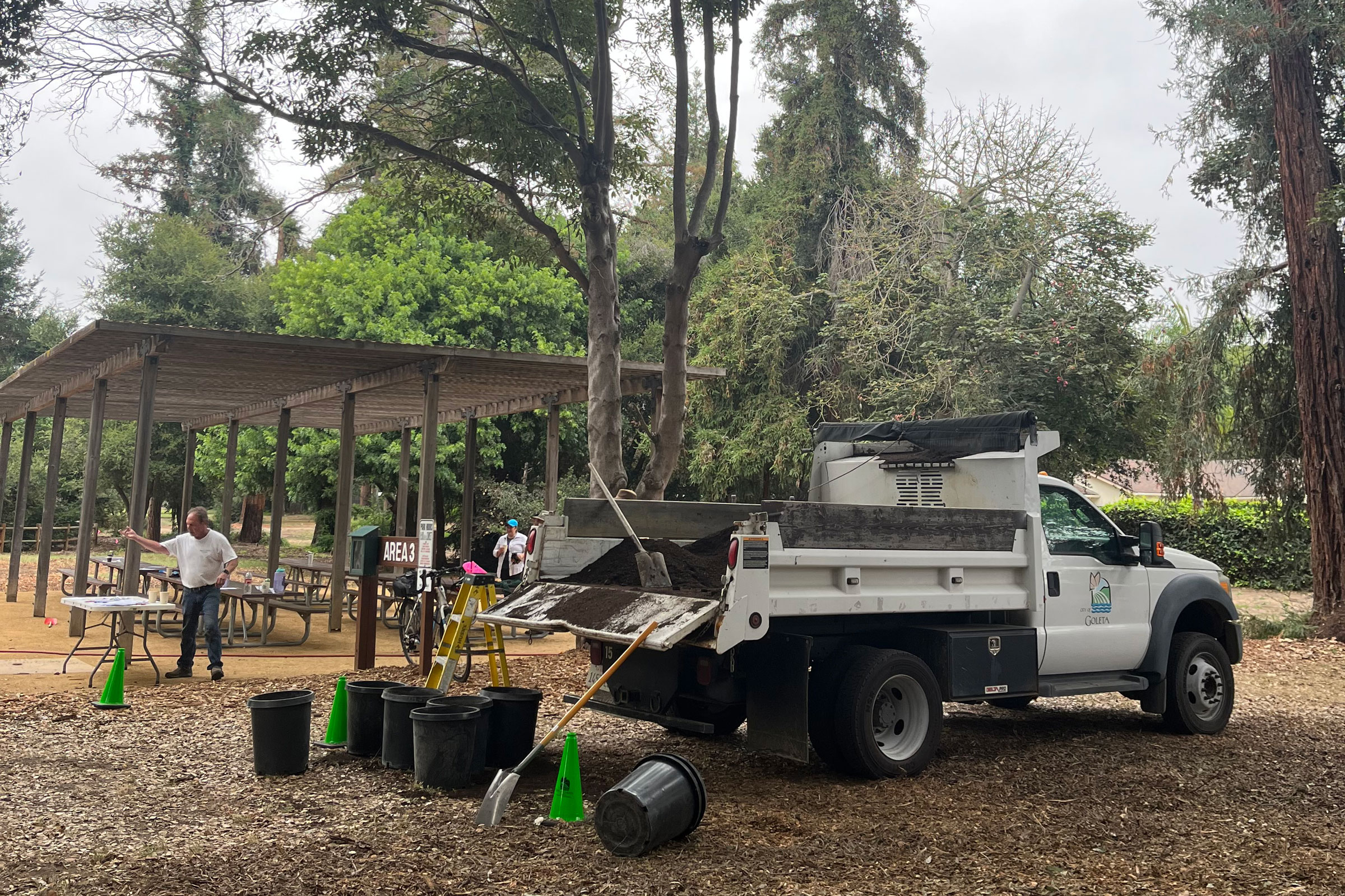 Goleta Volunteers Plant 100 Trees in Drought-Damaged Forest at Stow ...