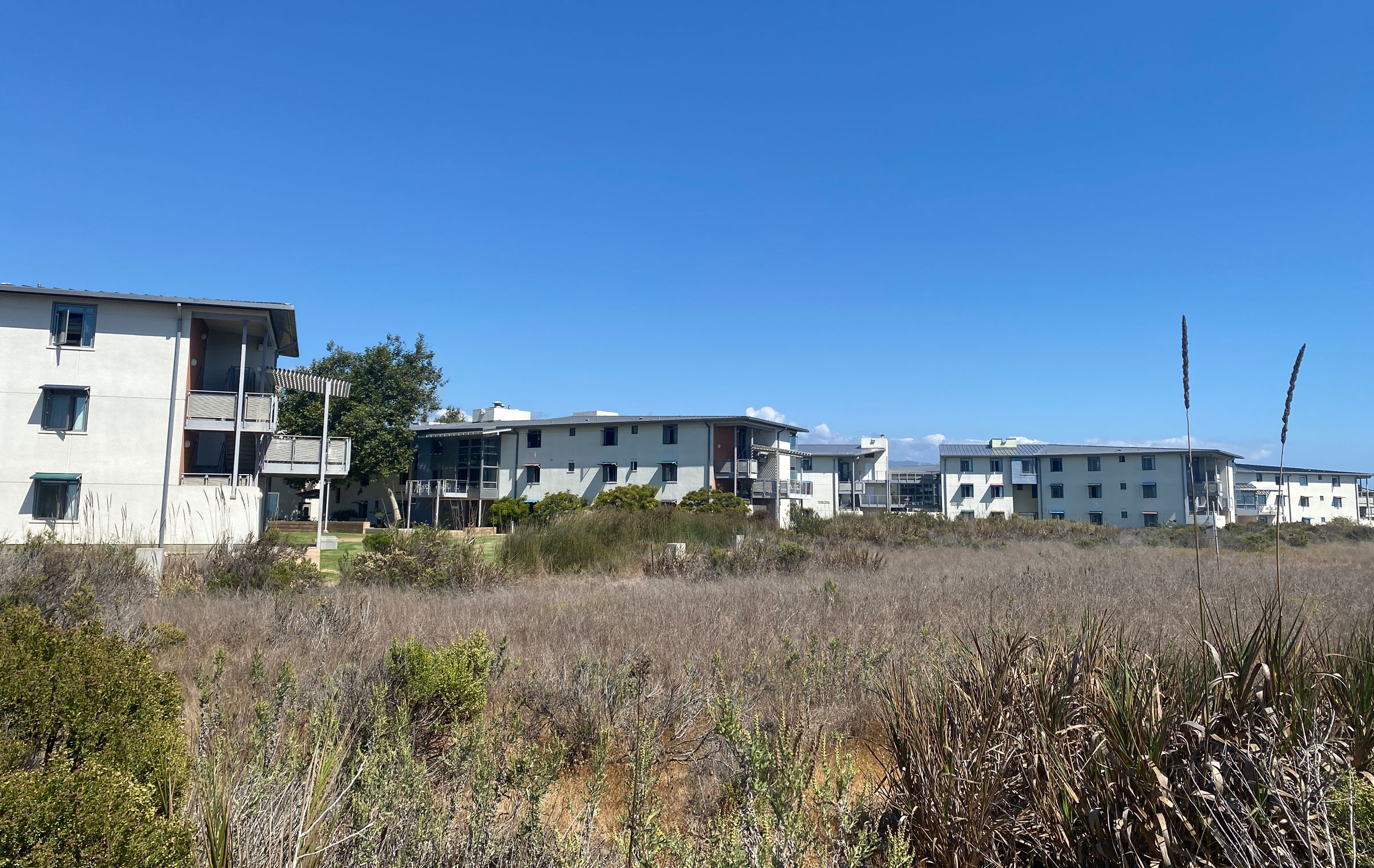 UCSB Still Has 200 Open Spots for Students Needing Housing | Local News ...
