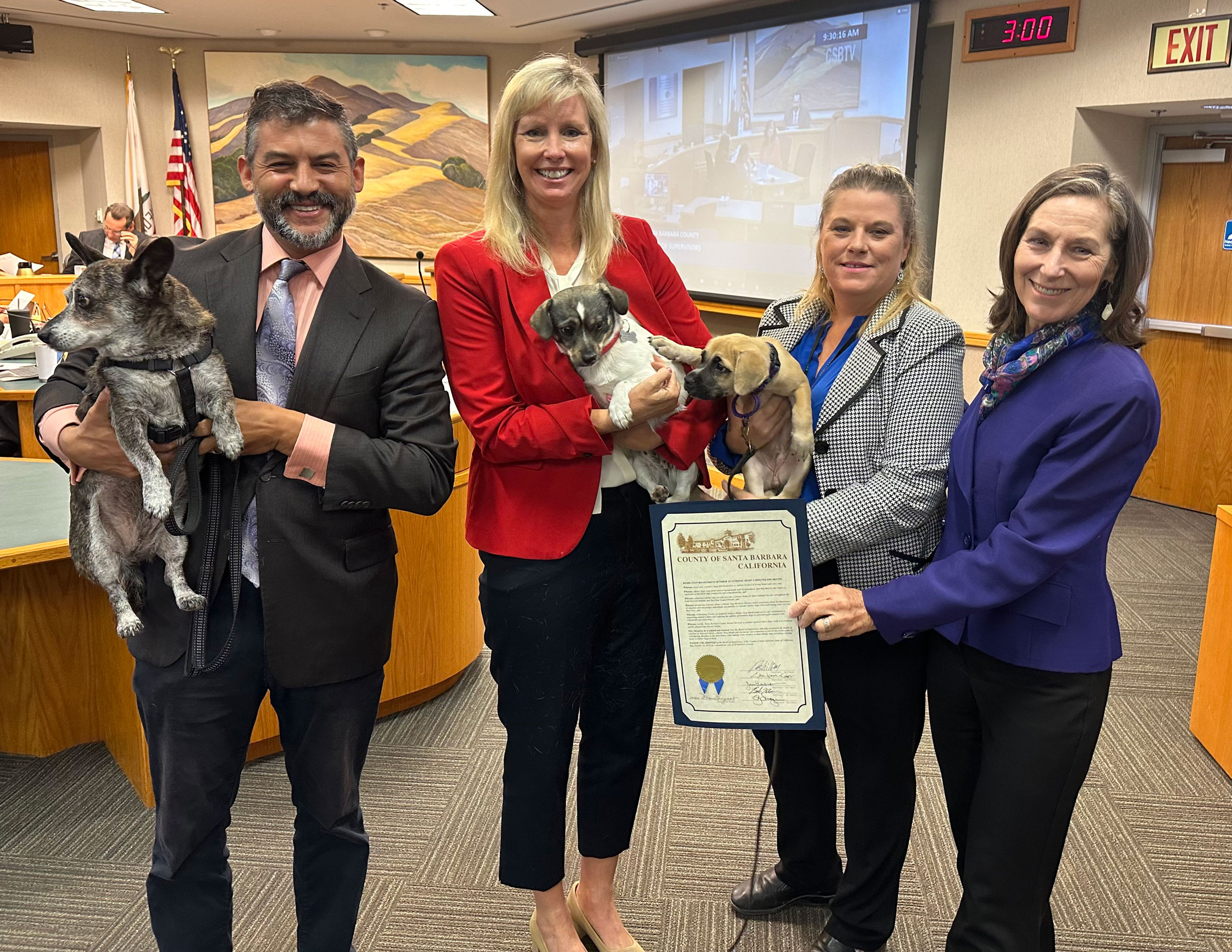 County Animal Services Reports Higher Adoptions, Foster Placements ...