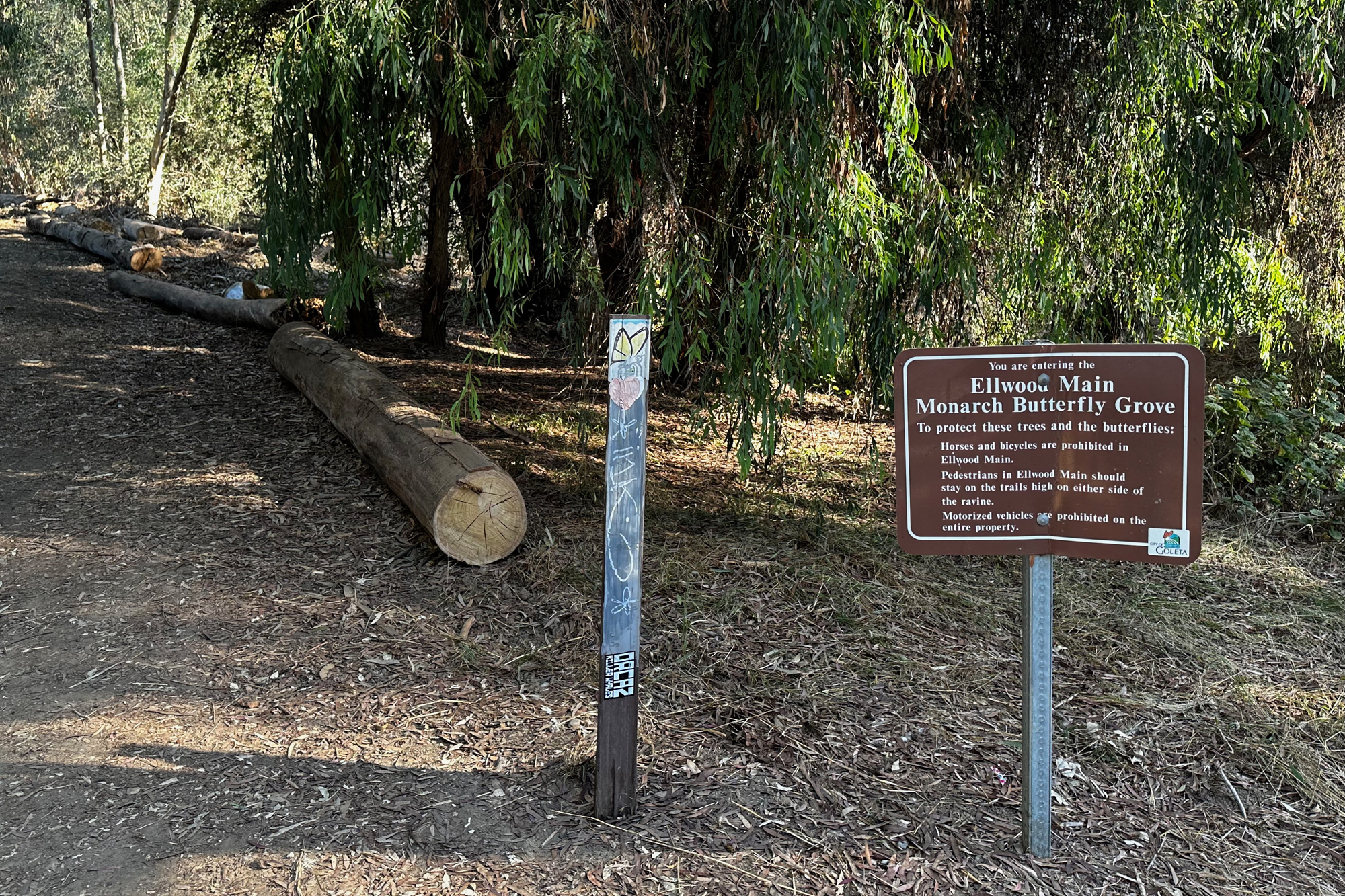 Goleta Council OKs Plan to Replant Trees, Add Plants, Build Access ...
