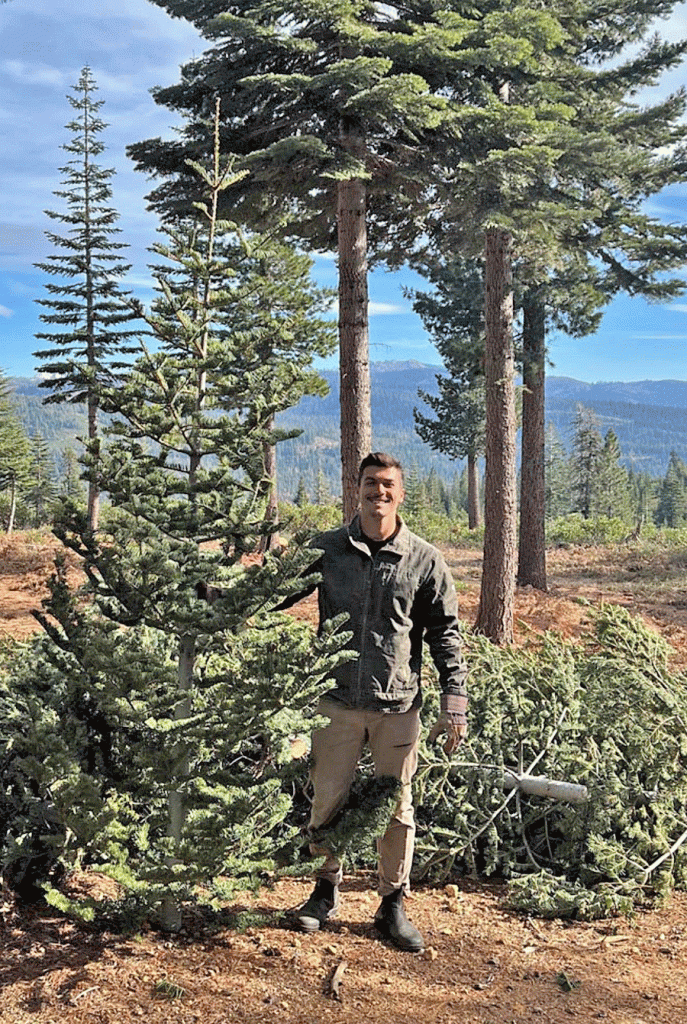 Christmas Tree Fundraiser Benefits Agriculture Education Program | Good ...