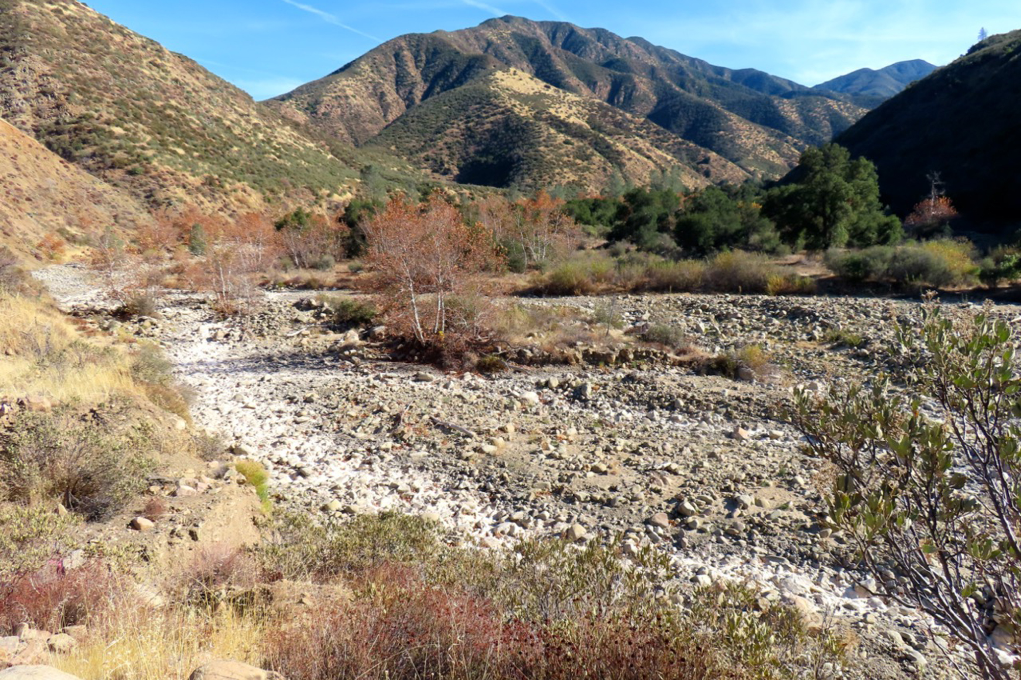 Dan McCaslin: Bask in Nature's Glow During Hike Along Manzana Creek to ...