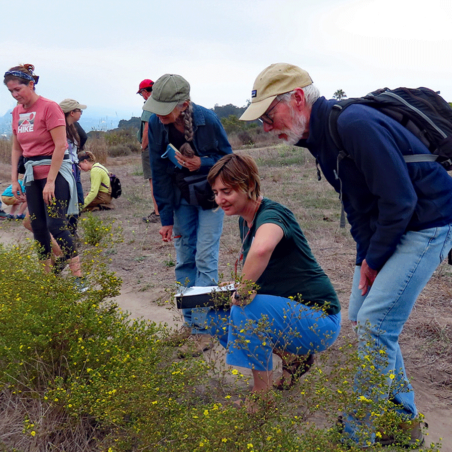 Learn About Biodiversity of Elings Park During Free Nature Walks ...