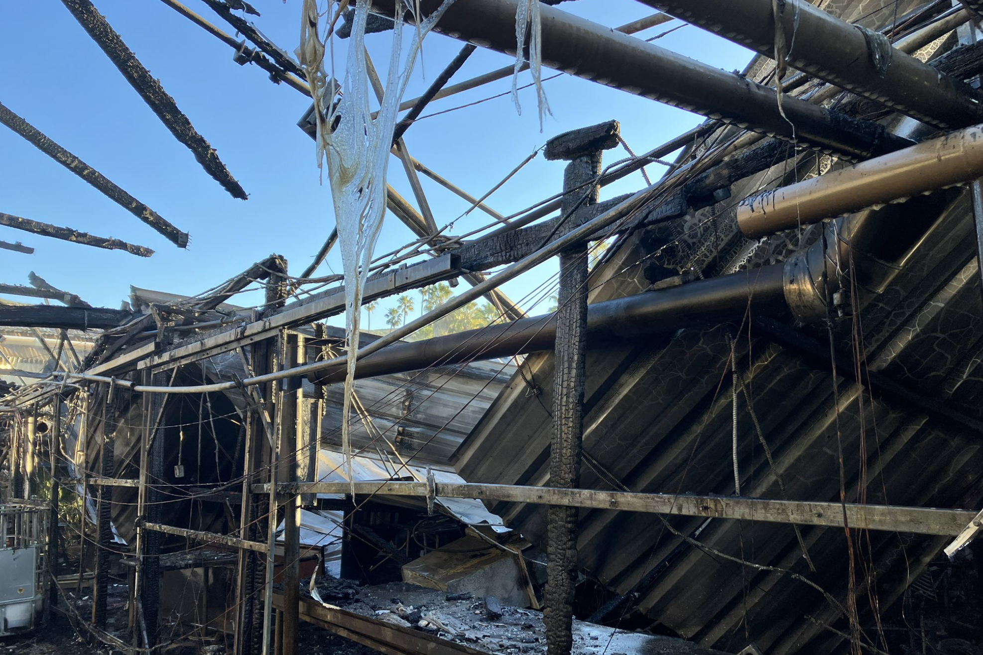 Cause of Fire at Large Cannabis Greenhouse in Carpinteria Under ...