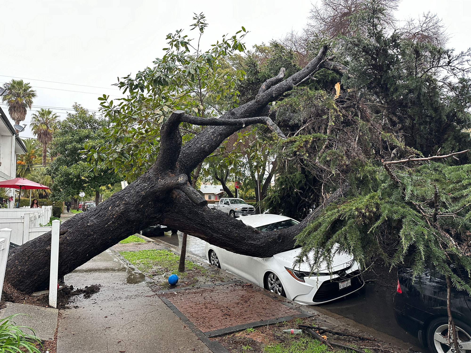 See Photos and Videos From the Santa Barbara Storm | Local News | Noozhawk
