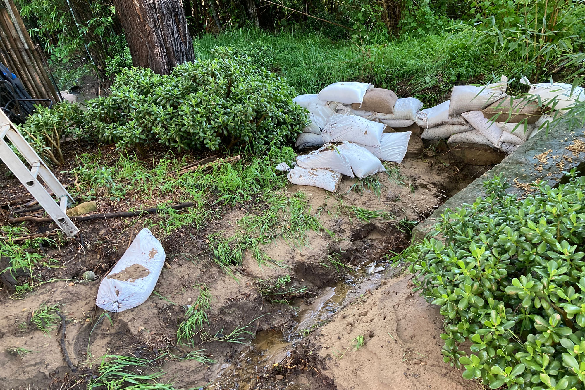Montecito Resident Describes Harrowing Surprise as Intense Storm Floods ...
