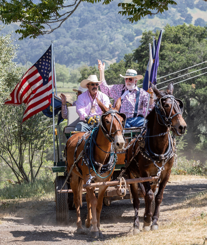Rancheros Visitadores Annual Fundraising Ride Returns May 4 | Good for ...