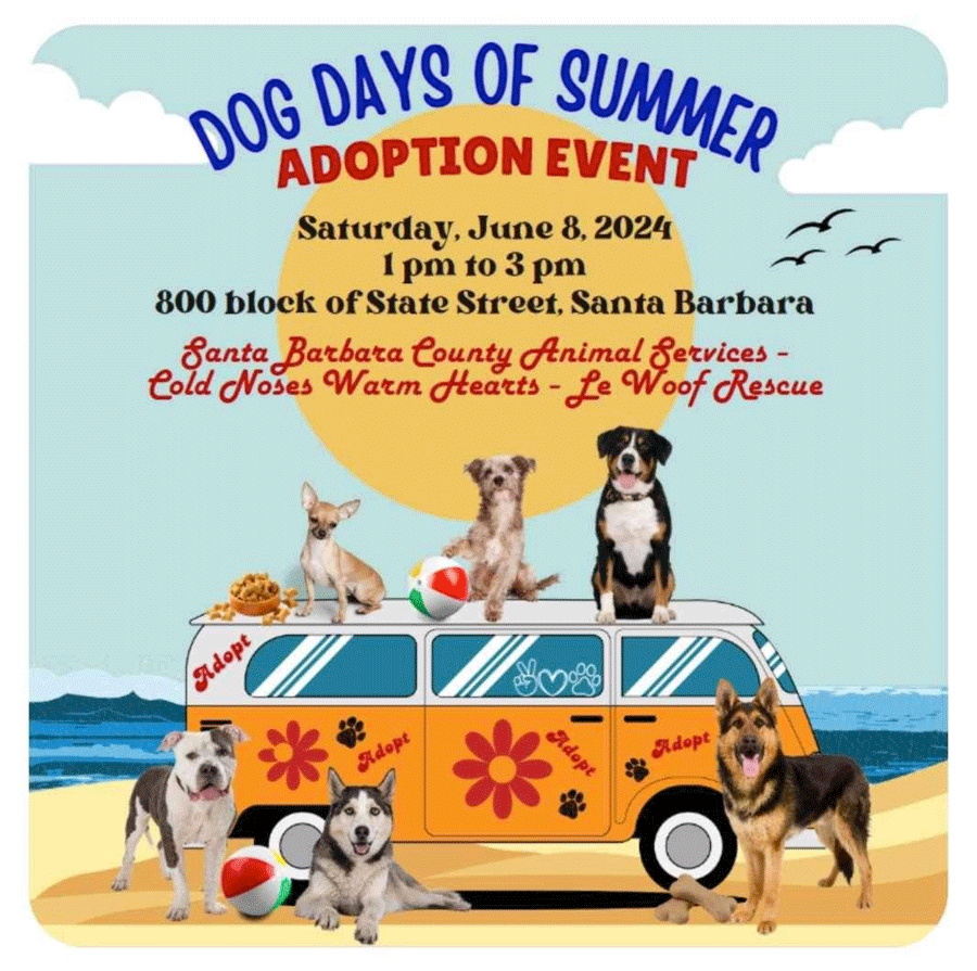 Summer Dog Adoption Event Looking to Pair up People With Pets | Four ...