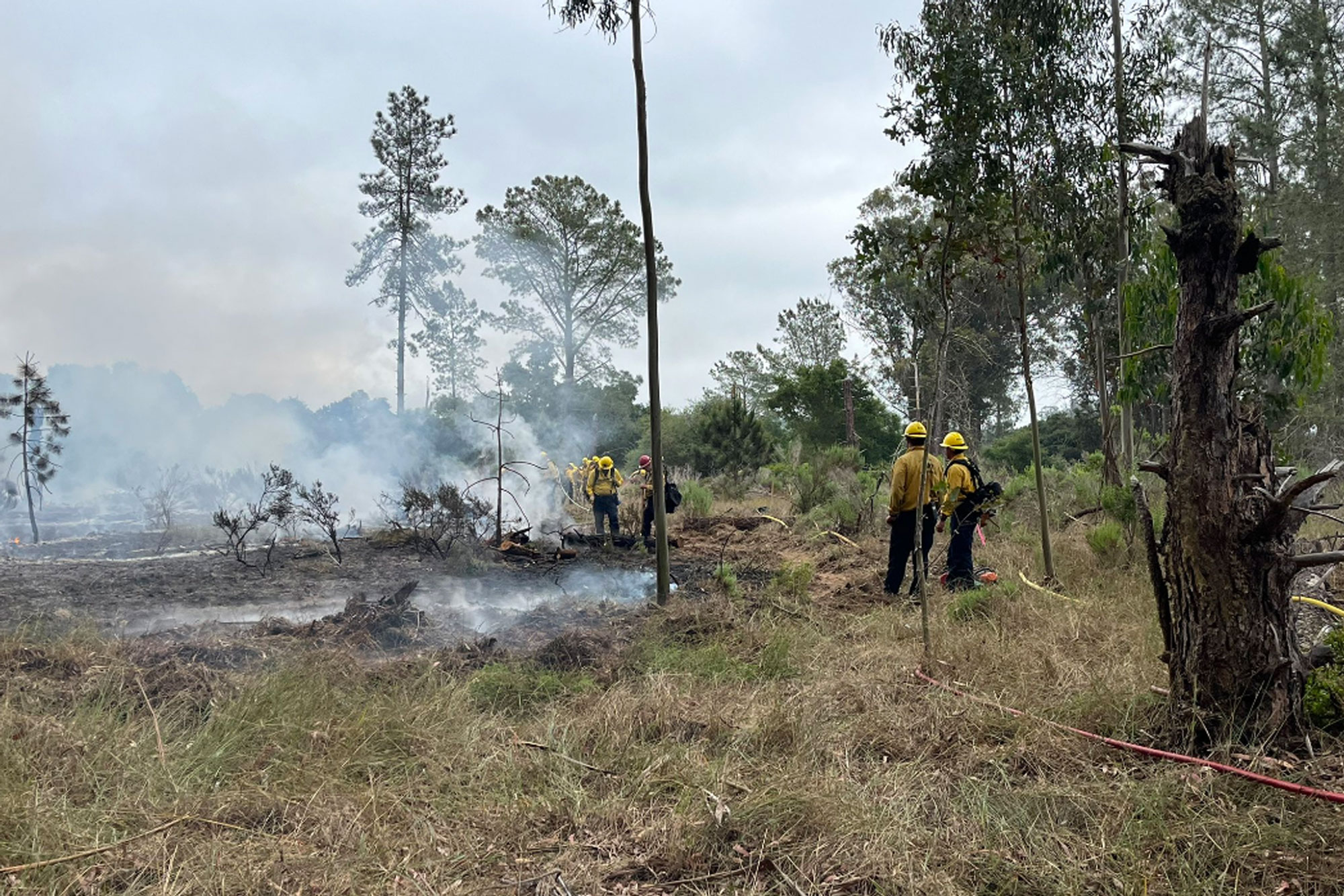 Firefighters Corral Small Vegetation Fire Near Vandenberg Village ...