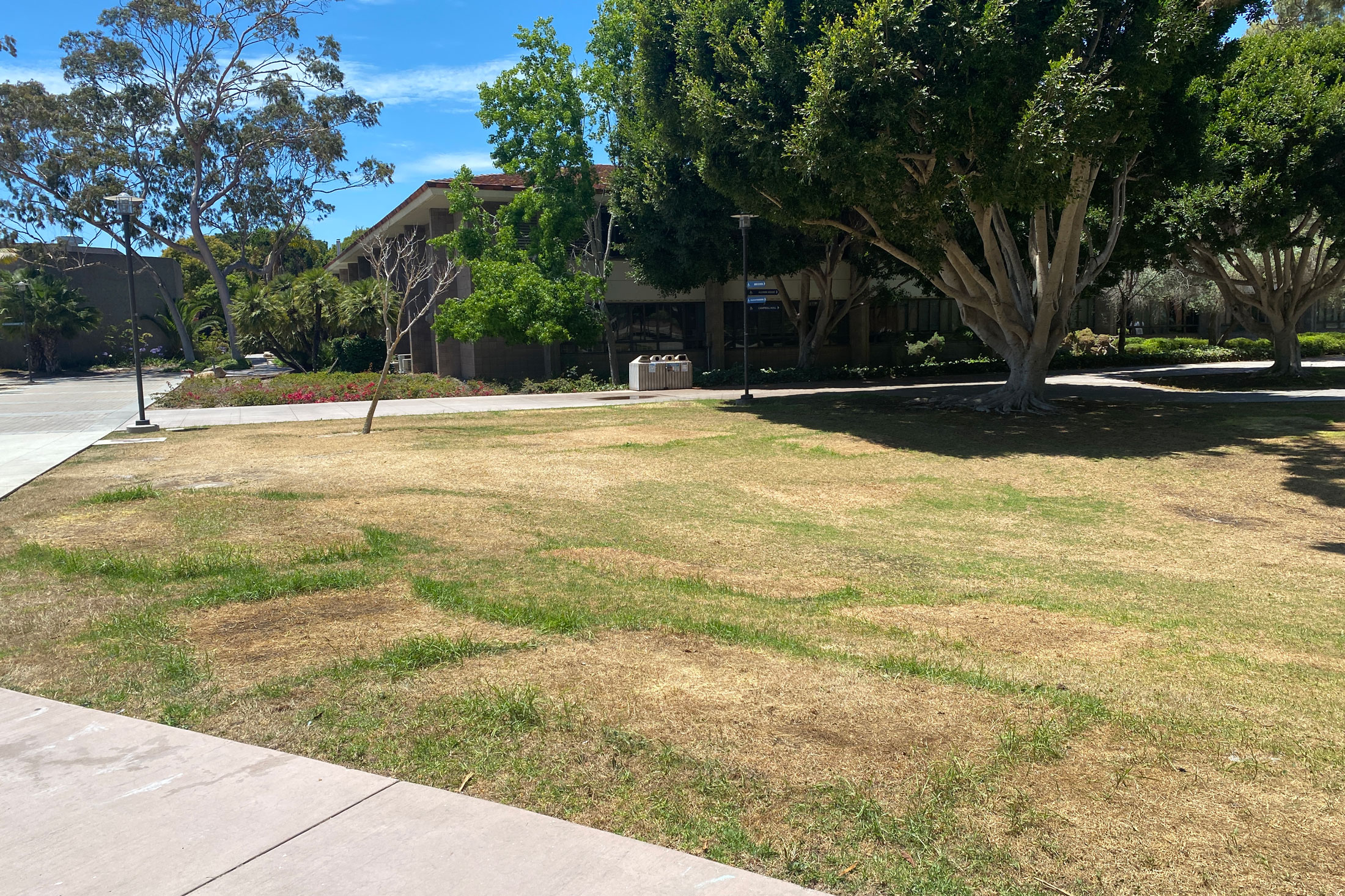 UCSB Police Dismantle Pro-Palestine Encampment, Arrest 5 People | Local ...