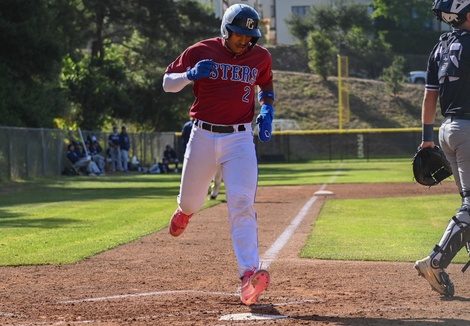 Santa Barbara Foresters' Offense Stays Hot, Leads the Way in 12-5 Win ...
