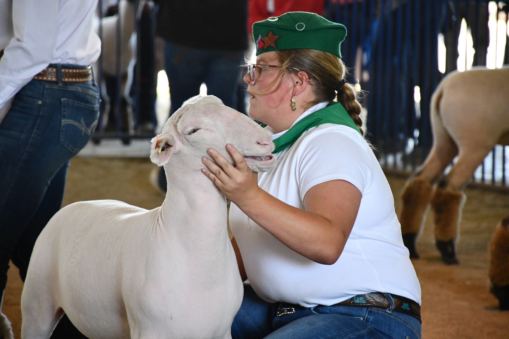 Livestock, Exhibitors Settle In as Santa Barbara County Fair Prepares ...