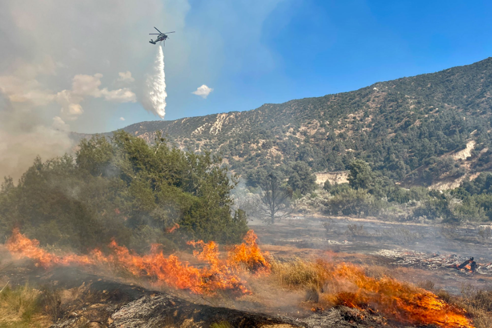Apache Fire Burning Near Northeastern Santa Barbara County Hits 1,500 ...