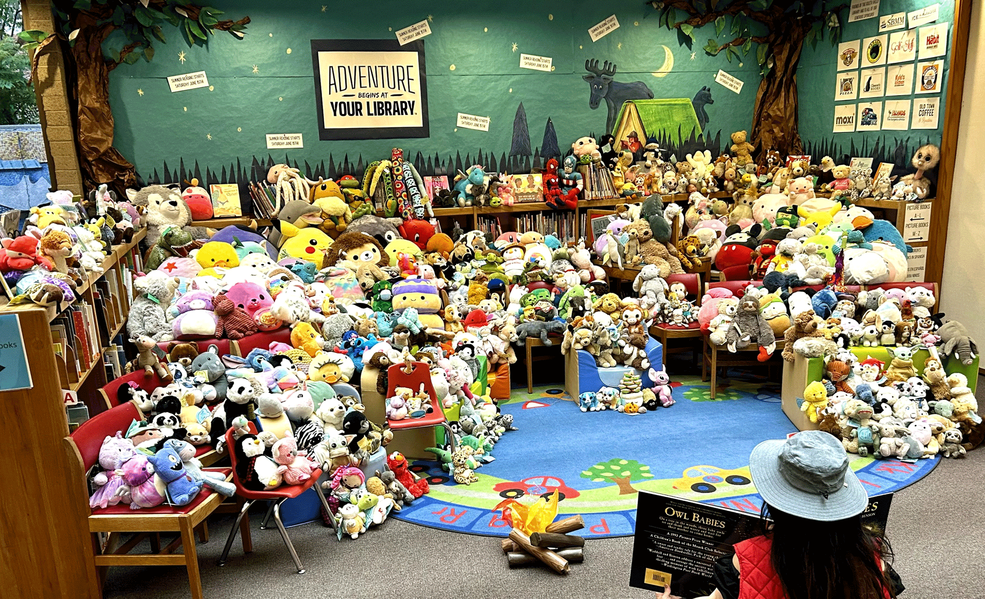 Goleta Valley Library Stuffed With 400 Stuffies at Summer Campout ...