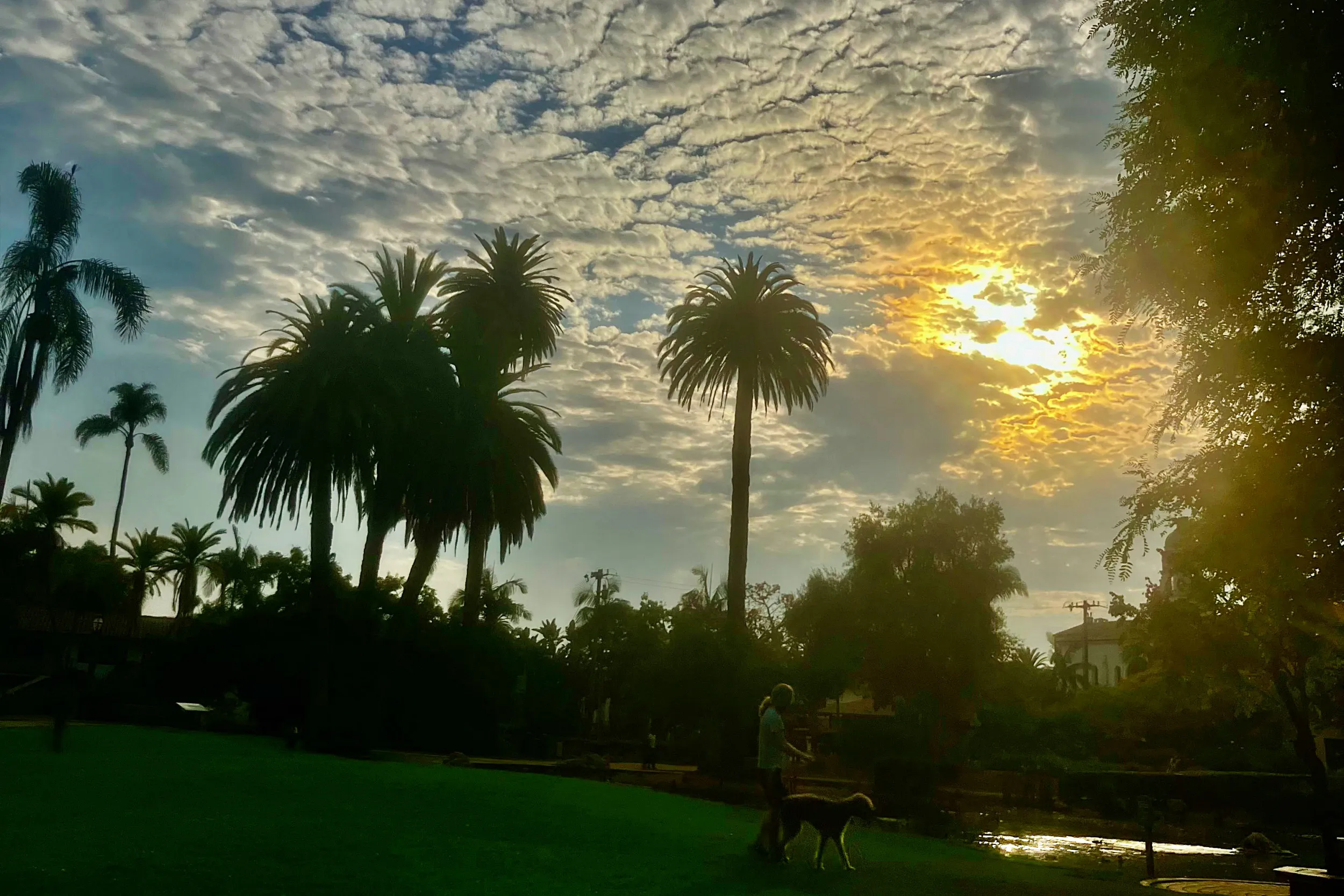 Alice Keck Park Memorial Garden | Photo of the Day | Noozhawk