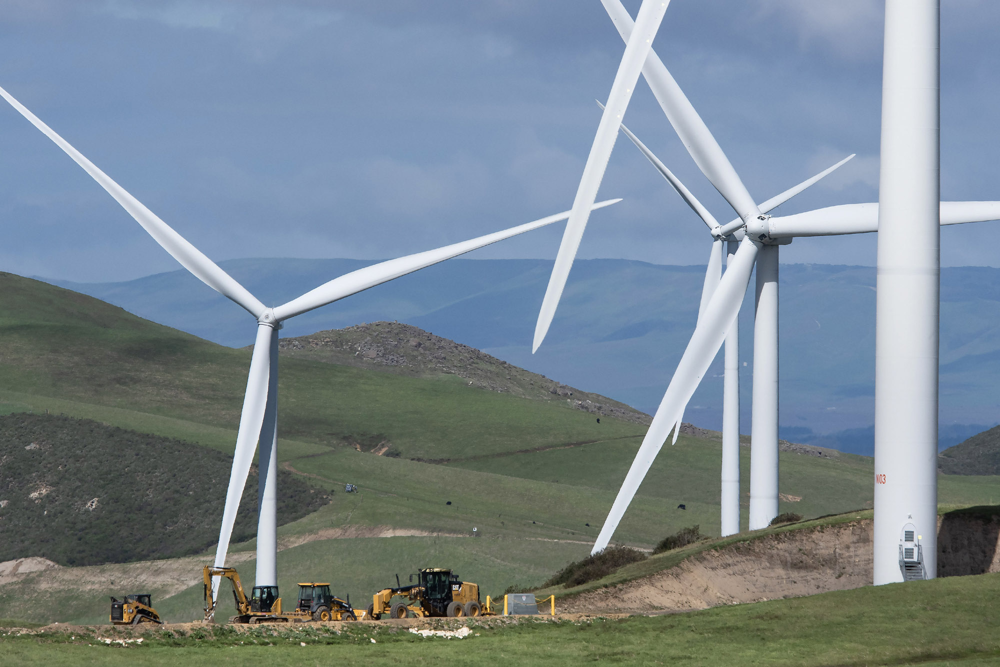Deaths of Birds, Bats Linked to Lompoc Wind Farm Lead to Plan Revisions ...