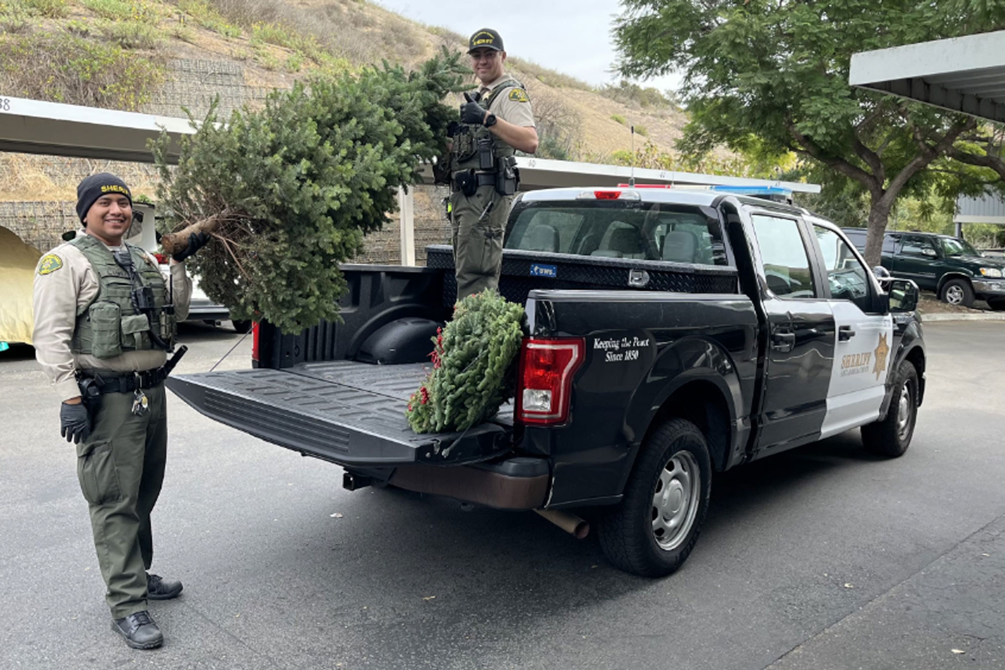 Sheriff's Deputies Arrest Santa Barbara Man in Theft of Christmas Trees ...